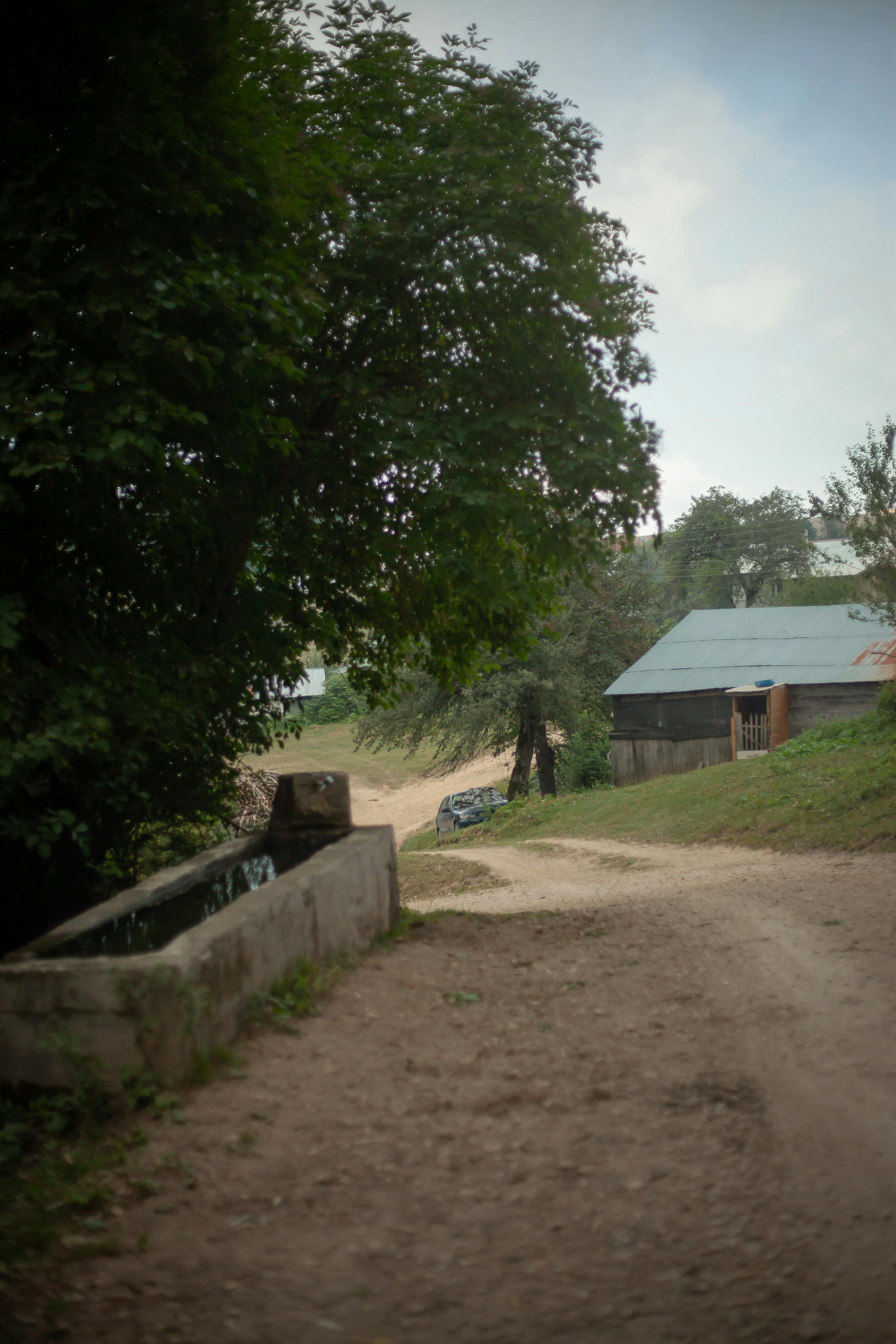 Sandy Village Road · Free Stock Photo