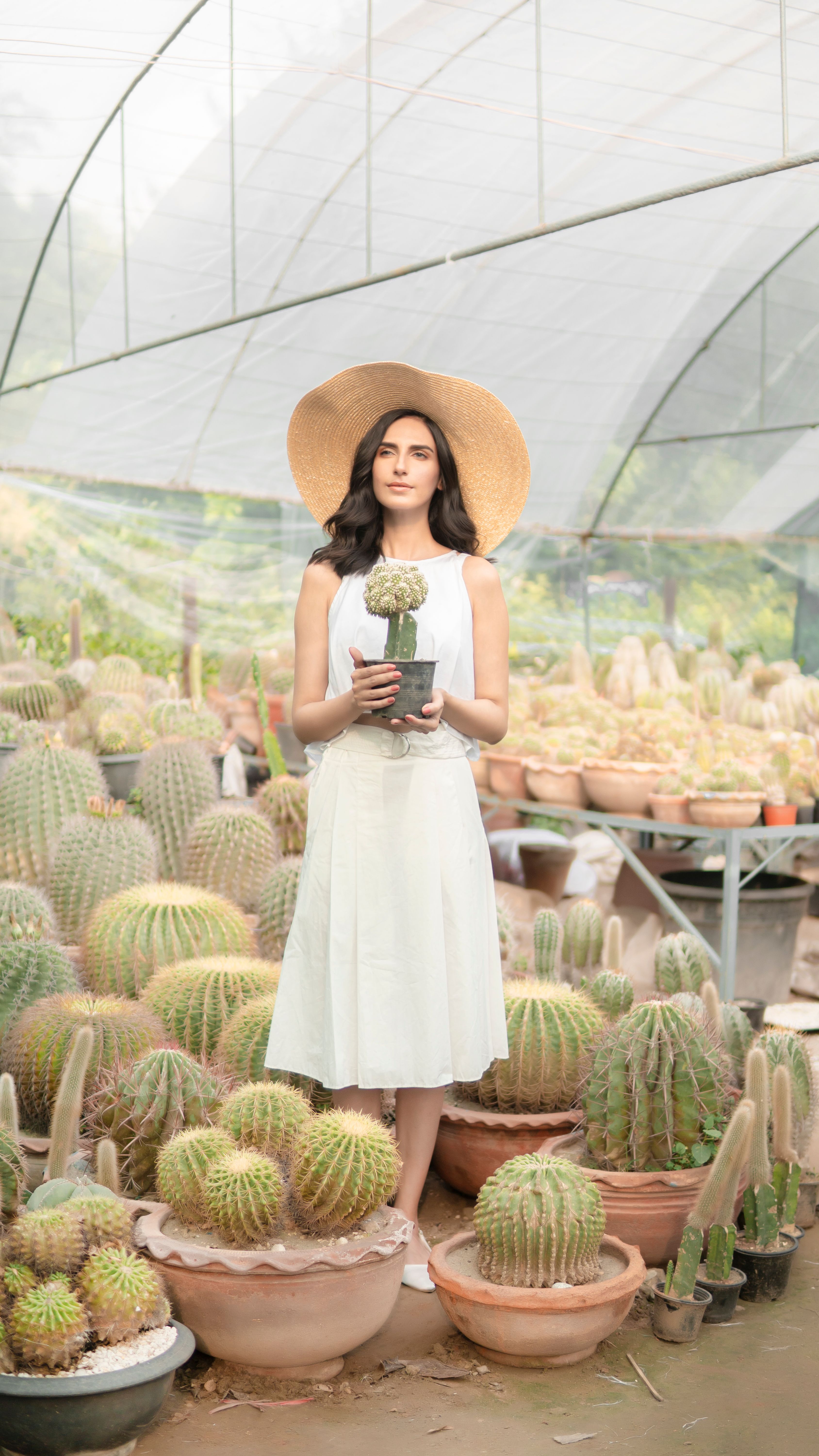 Woman Standing amid Cacti · Free Stock Photo
