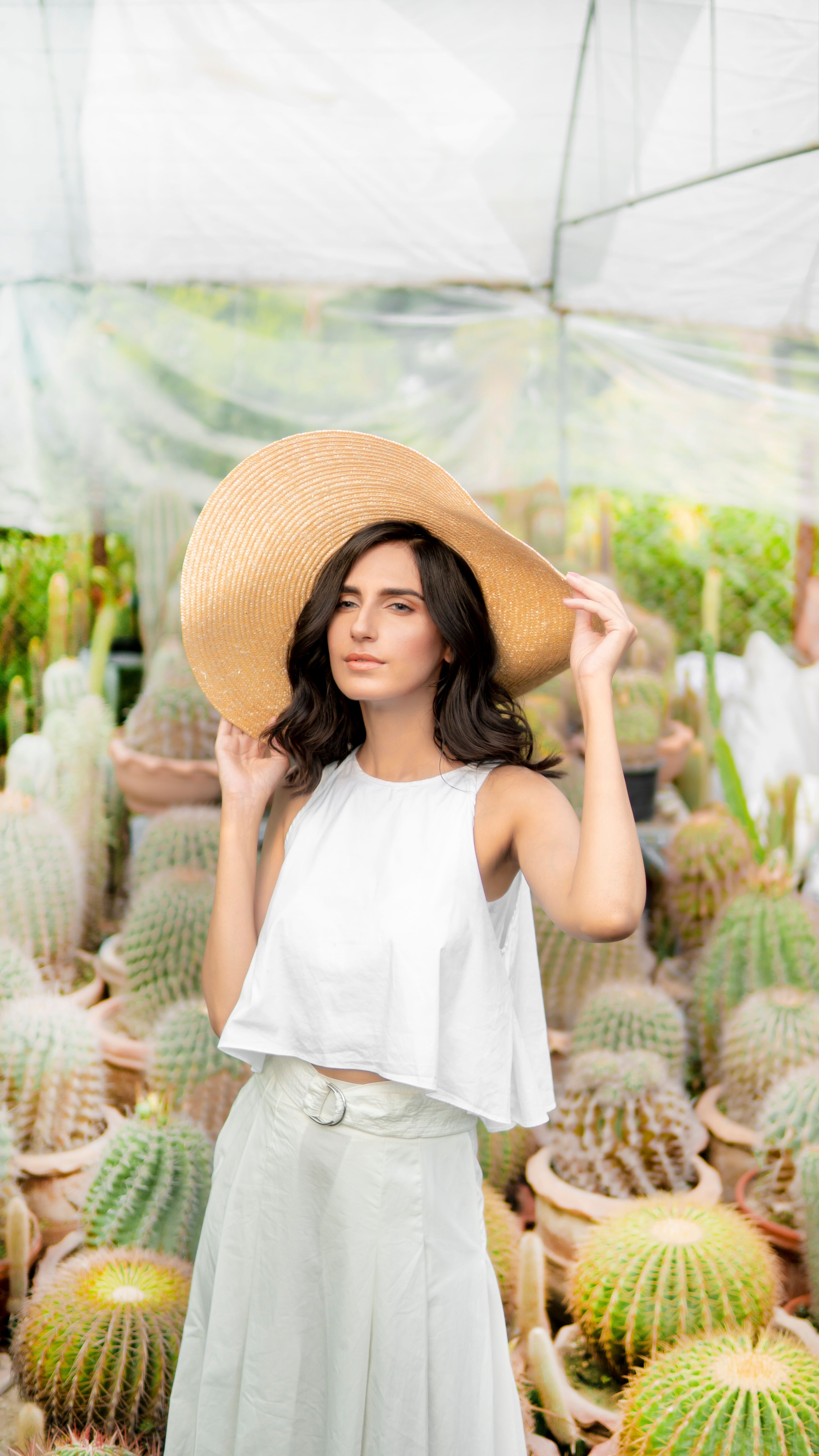 Young Woman in a Hat Standing among Cacti in the Greenhouse · Free ...