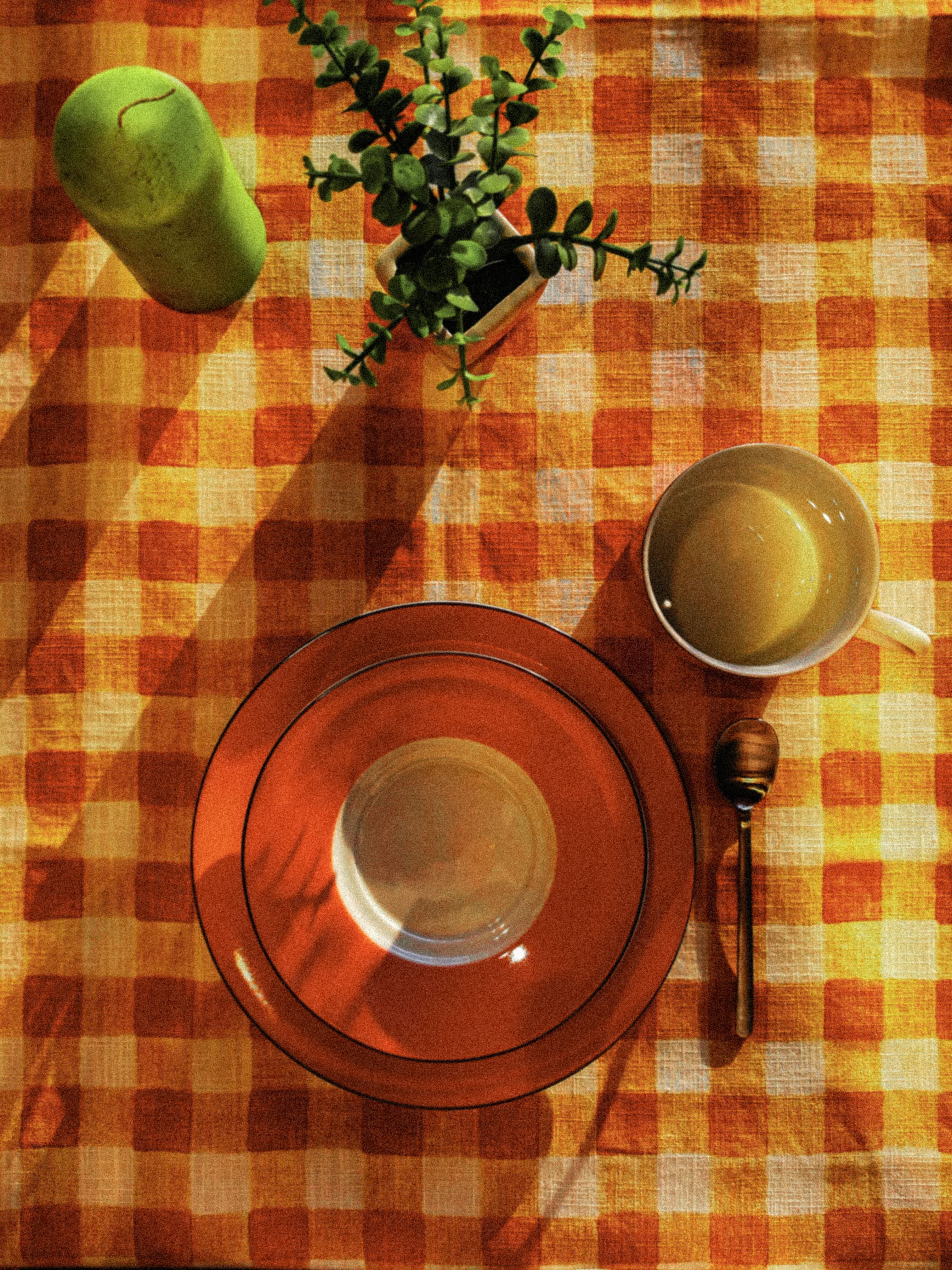 Place Setting on Red Checked Tablecloth · Free Stock Photo