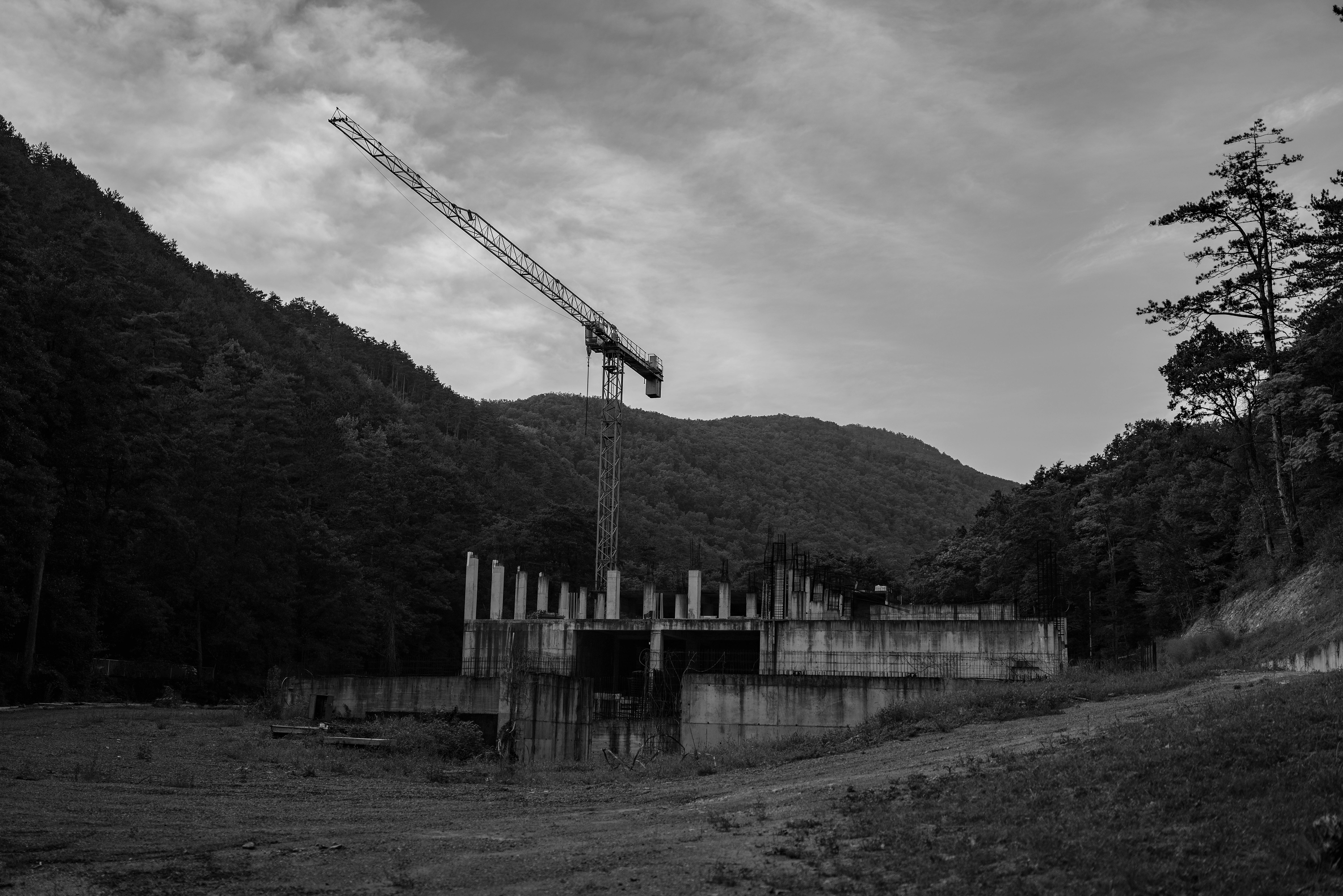 Building Construction in Forest · Free Stock Photo