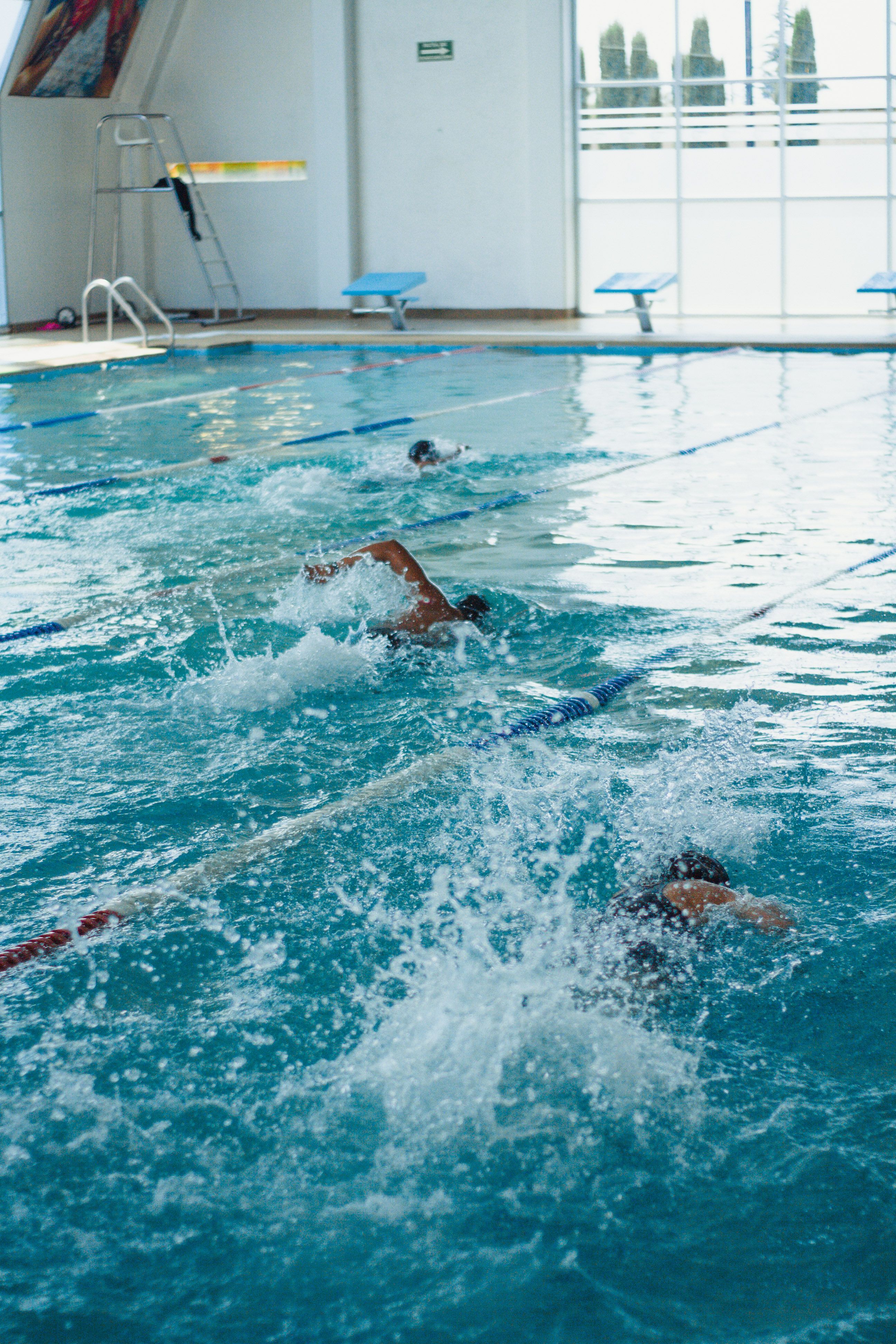 People in a Swimming Pool · Free Stock Photo