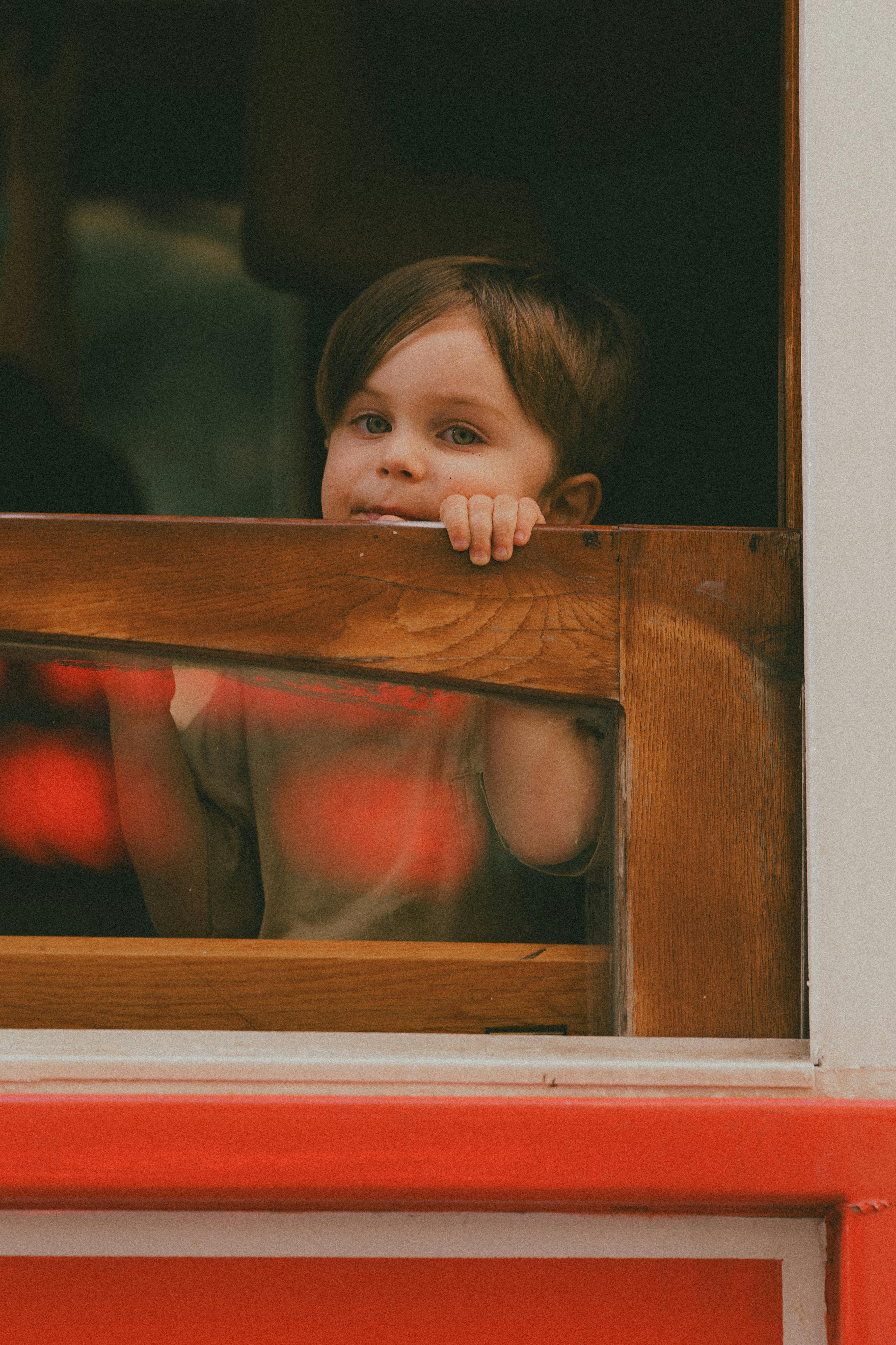 Wee Photos, Download The BEST Free Wee Stock Photos & HD Images