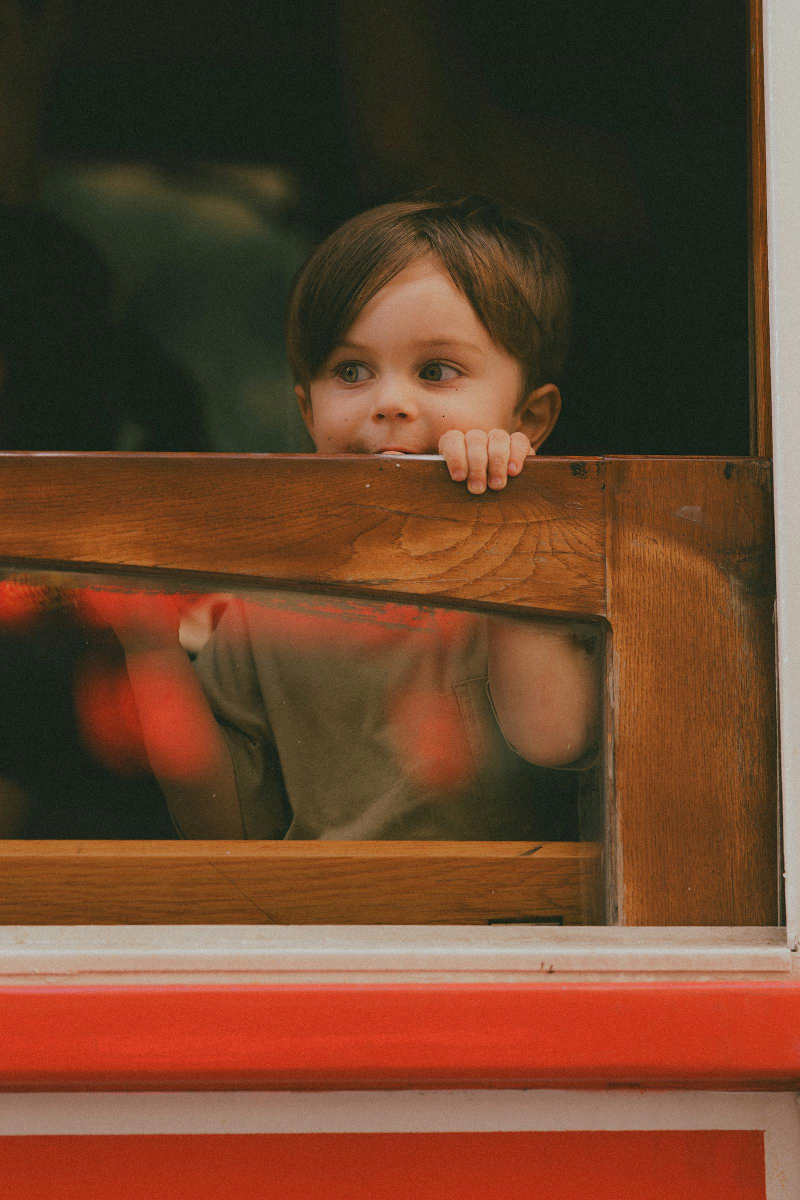 Window Peeking Photos, Download The BEST Free Window Peeking Stock ...