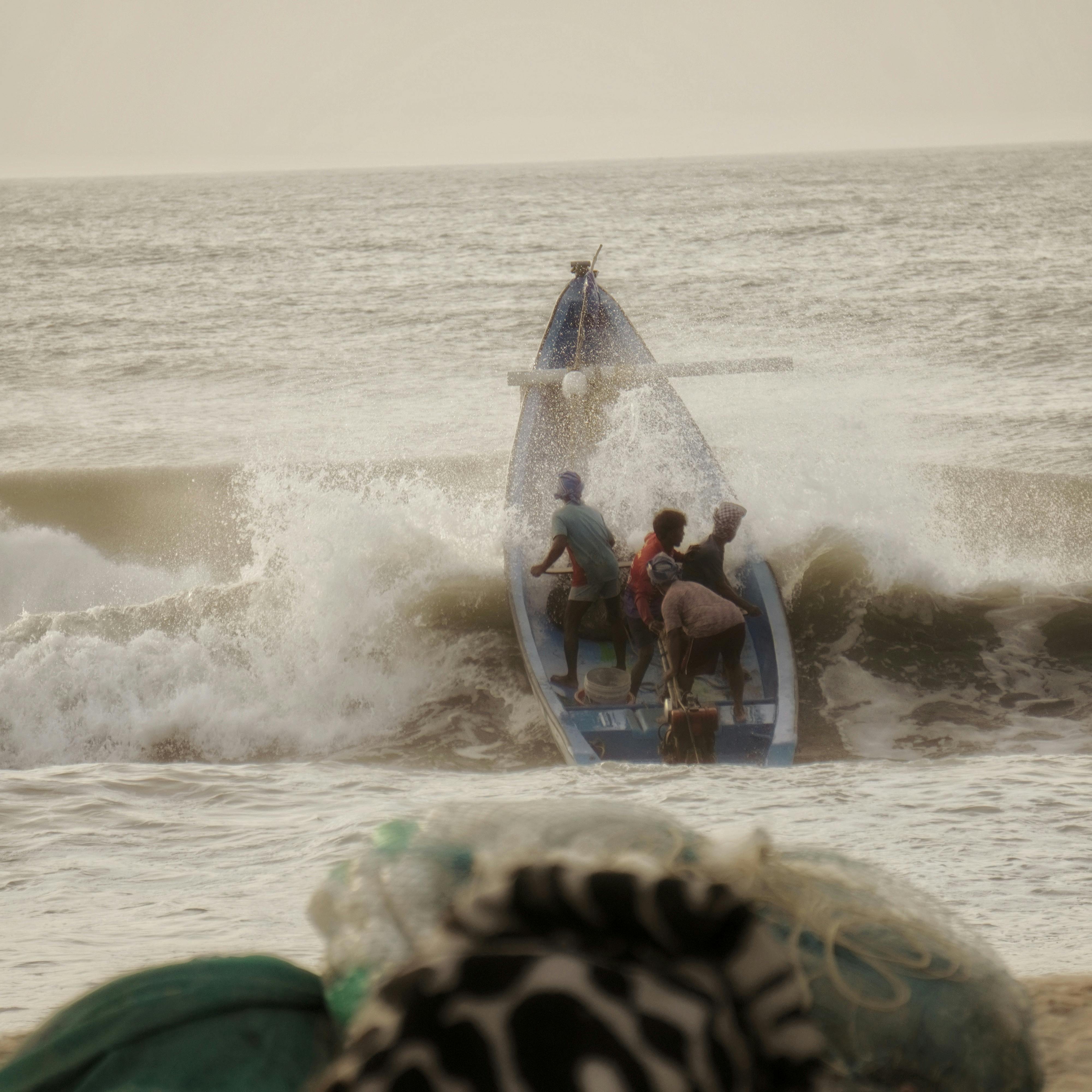 Joyal Thomas - Photography