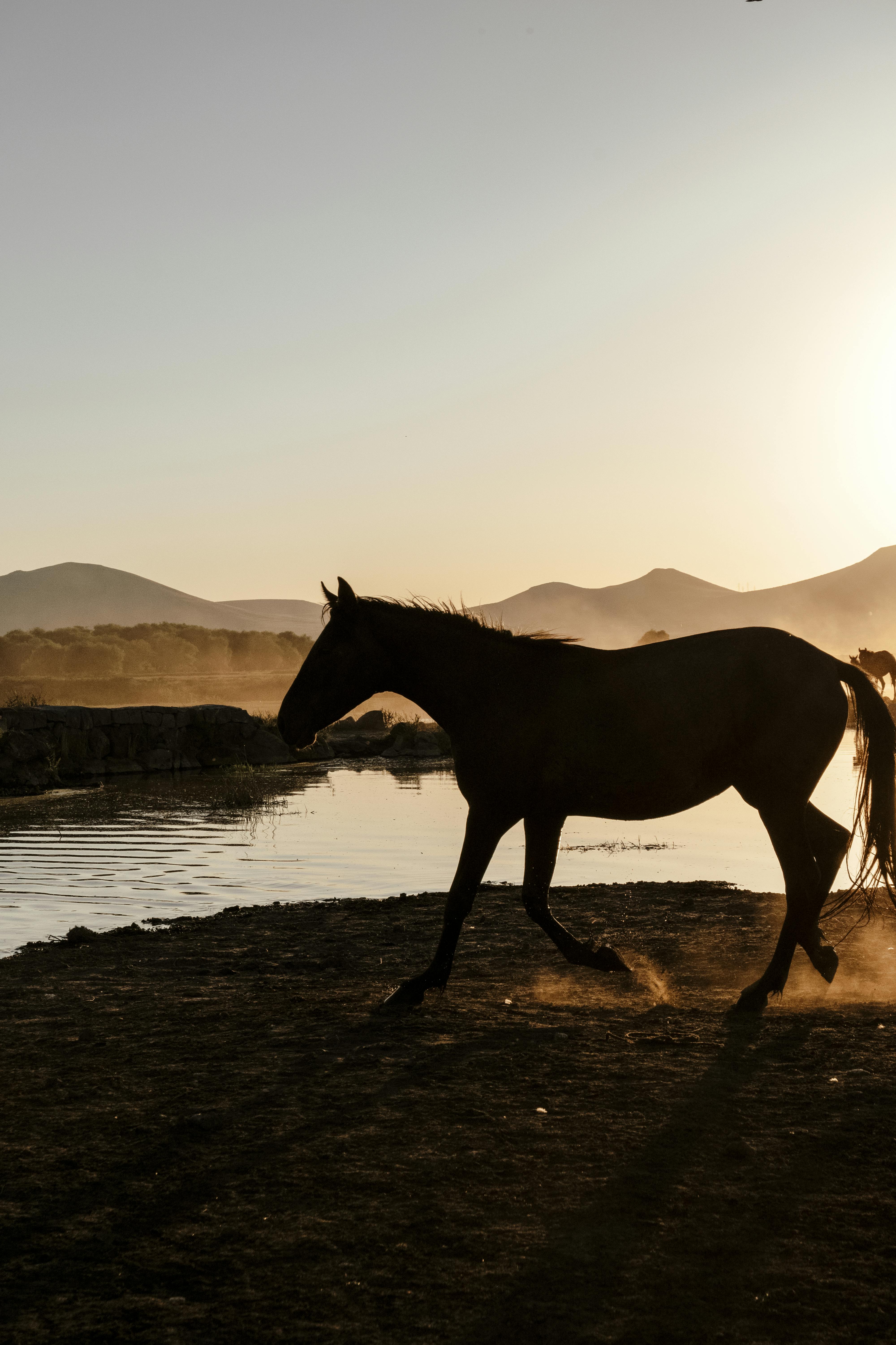 Woman Walking Up Steps at Dawn · Free Stock Photo