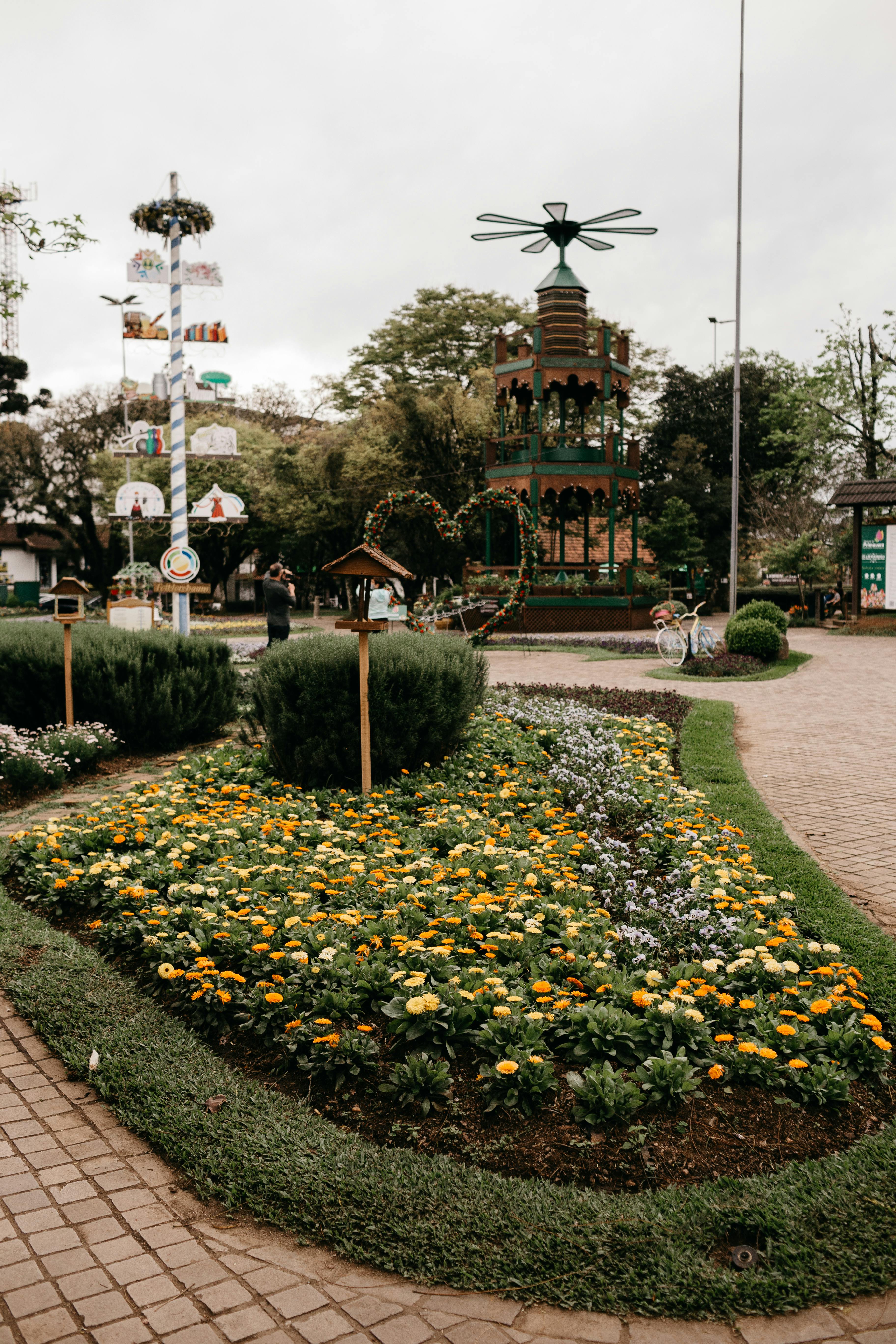 Imagine de stoc gratuită cu aan lichtbak toevoegen, afișare florală ...