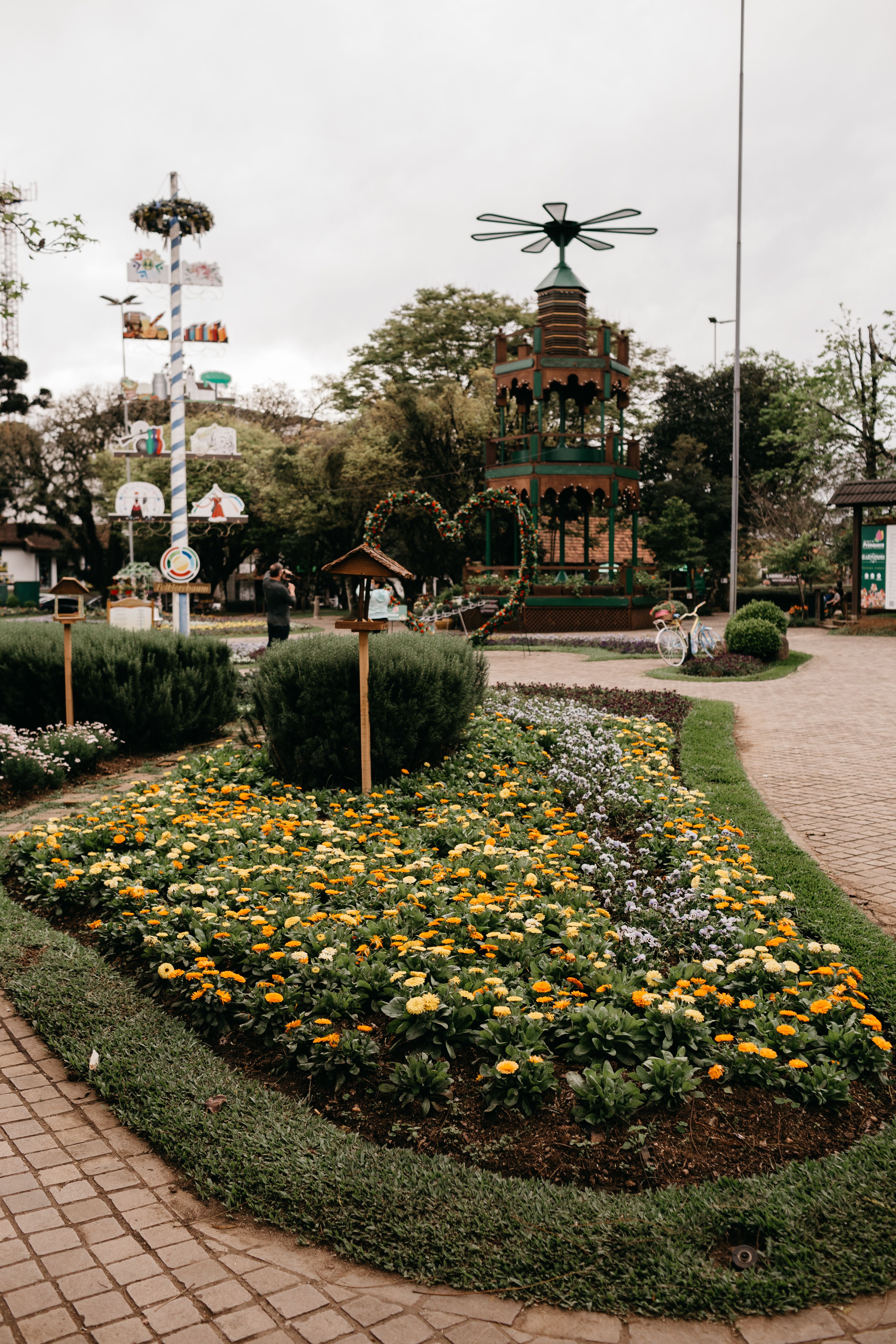 Colorful Flowers in a Park · Free Stock Photo