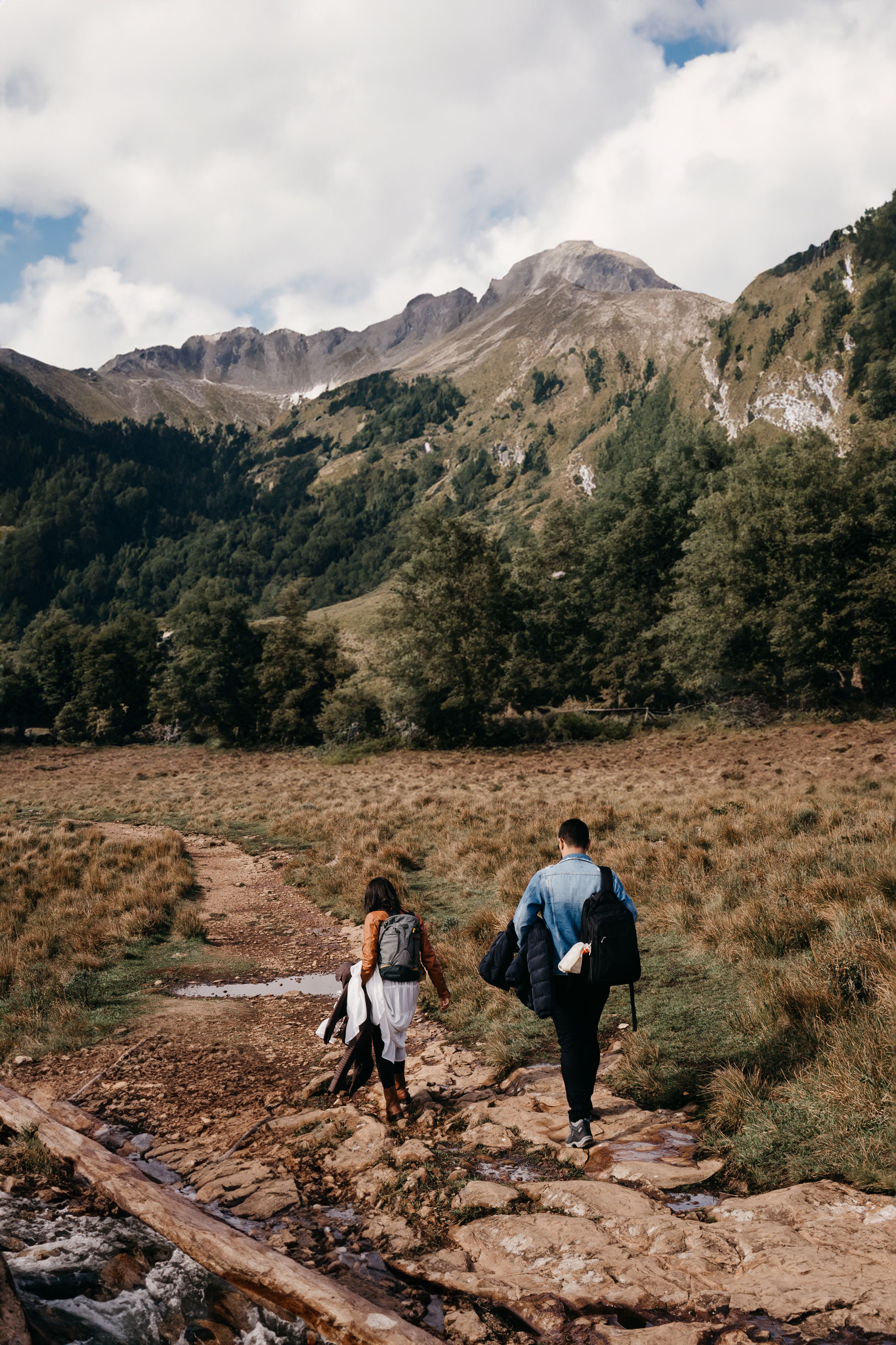 Wandering Photos, Download The BEST Free Wandering Stock Photos & HD Images