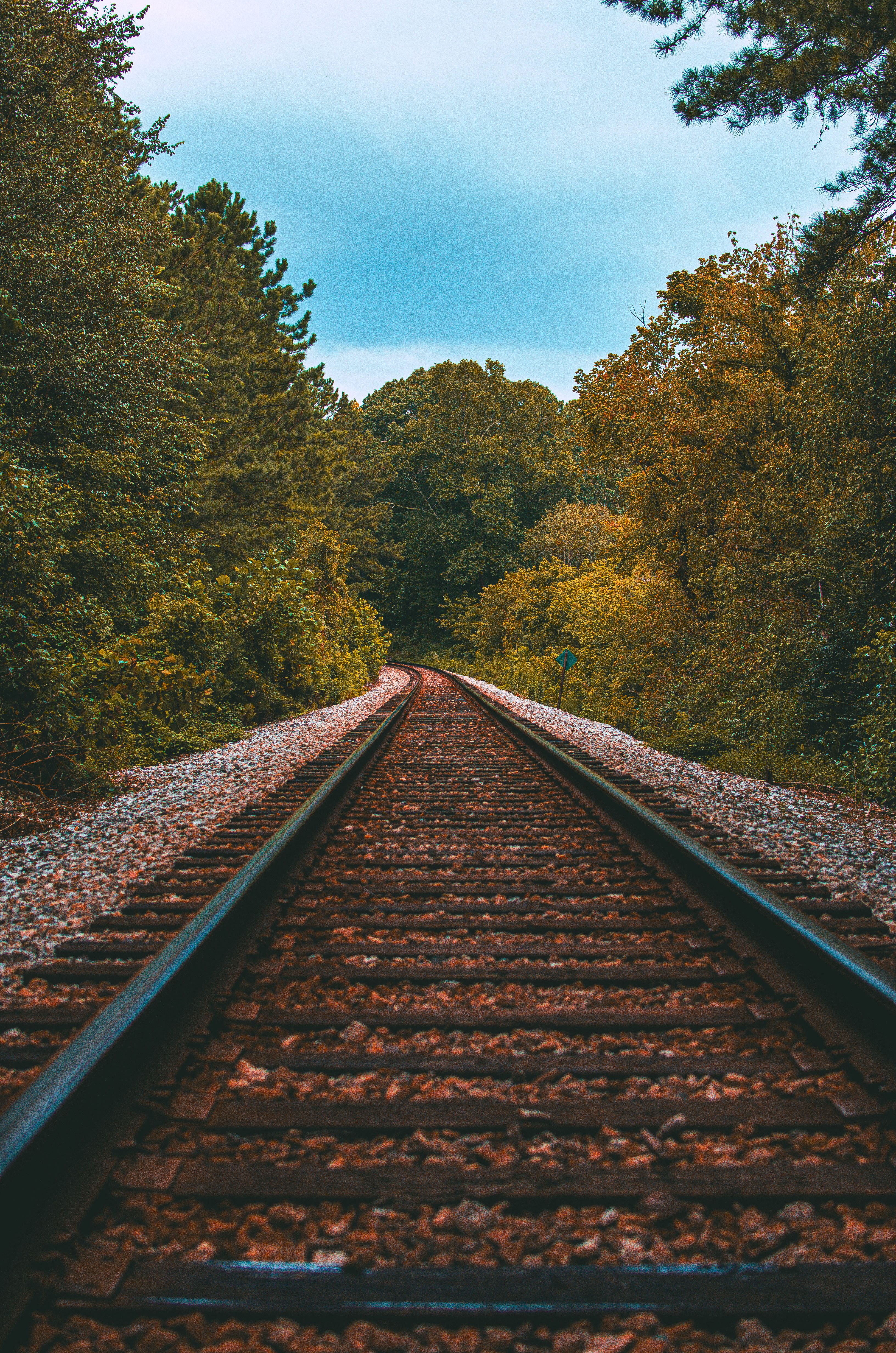 Brown Train Railway Between Green Trees at Daytime · Free Stock Photo