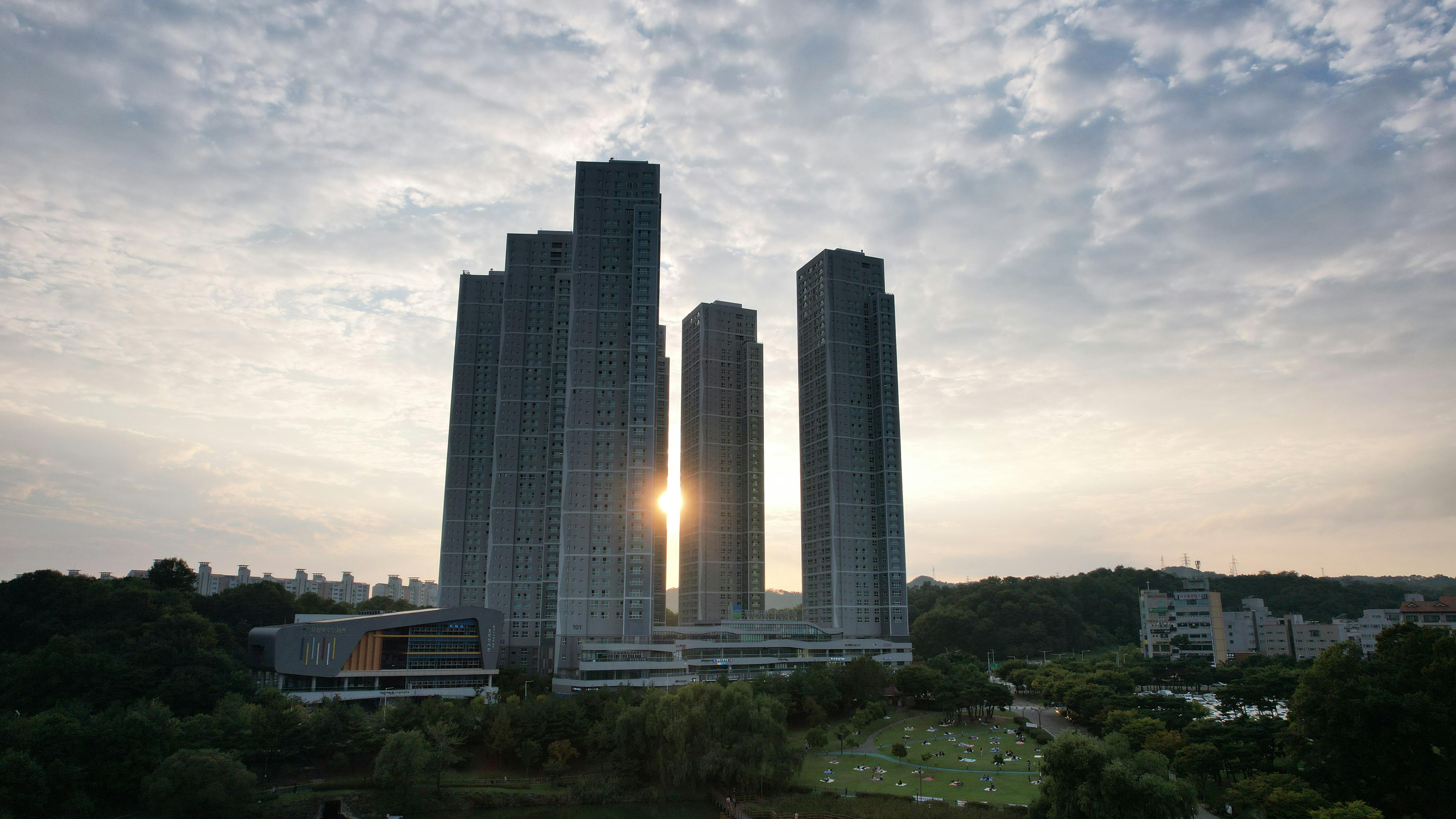 Blue Dandy - Fotografía