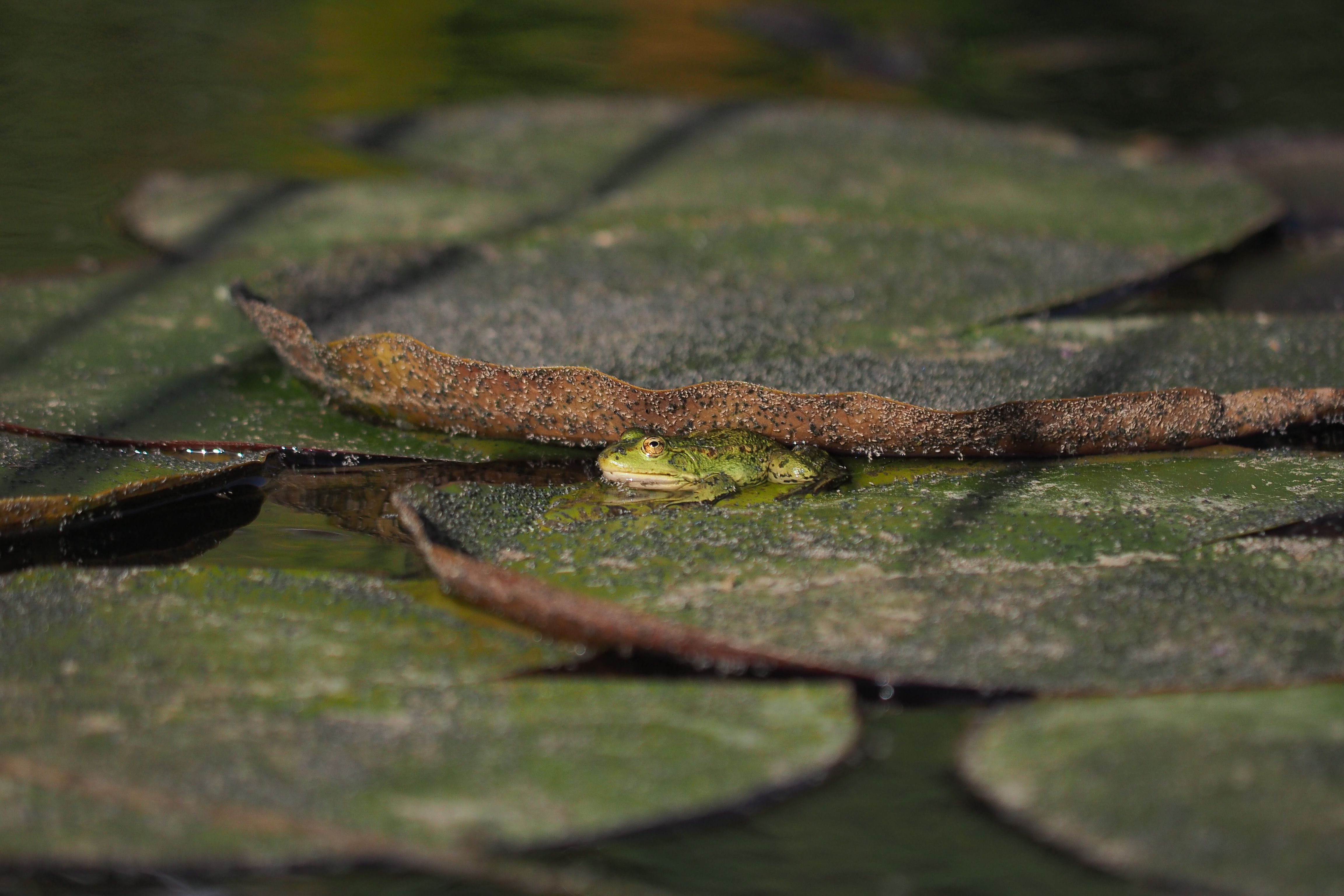 Water Nature Photos, Download The BEST Free Water Nature Stock Photos ...