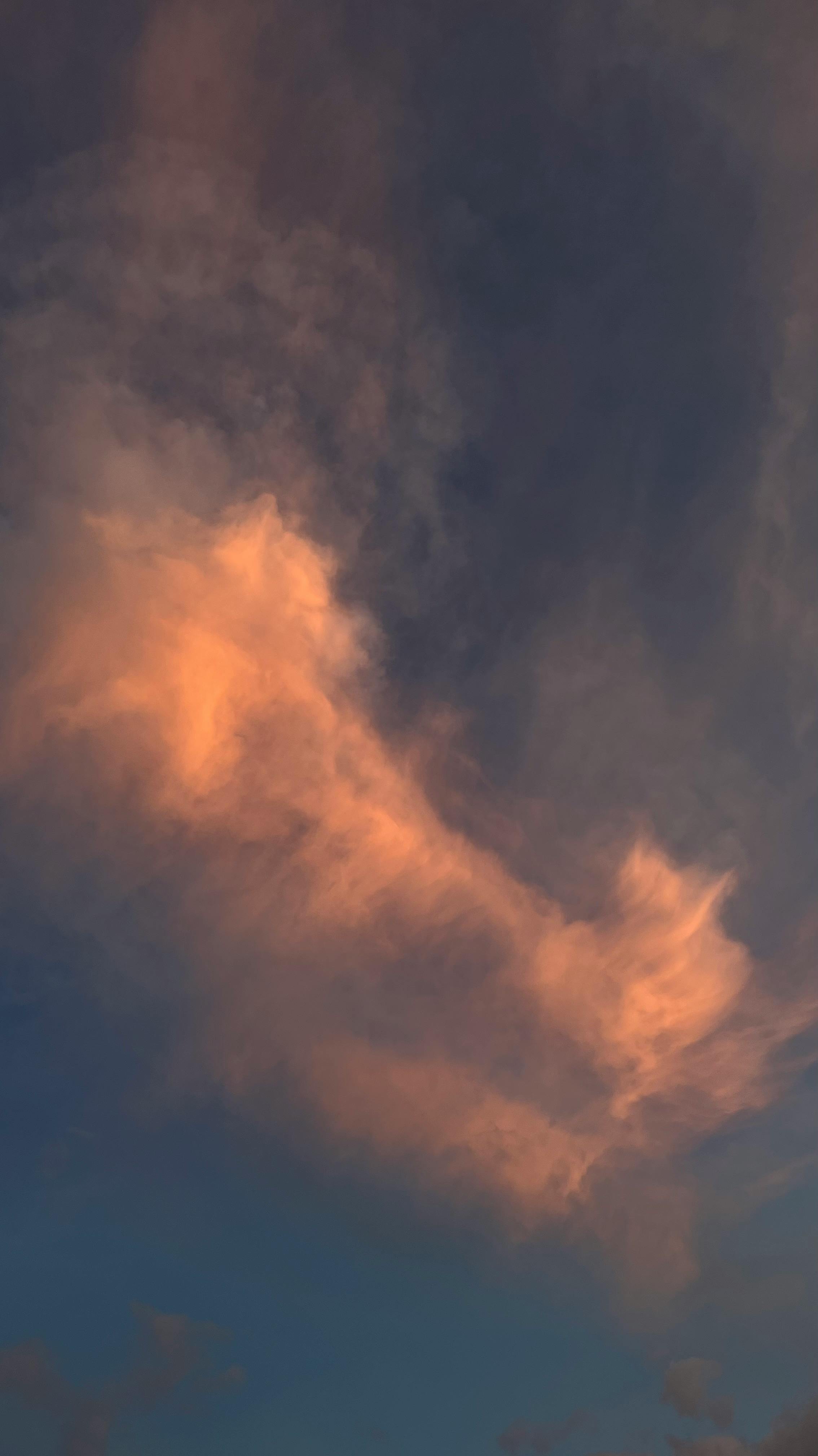 Nikhil Soni - Photography