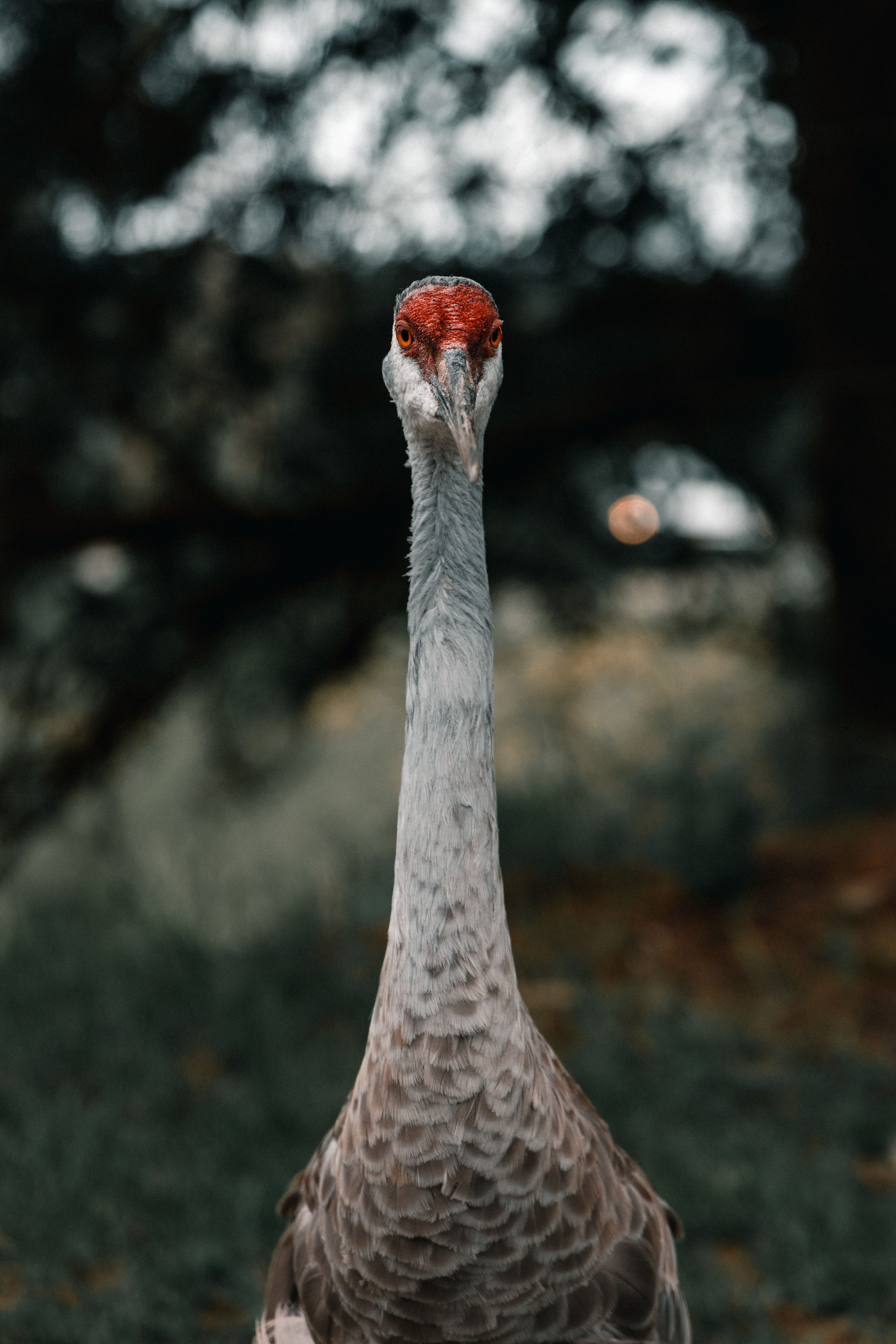 Head Panels Photos, Download The BEST Free Head Panels Stock Photos ...