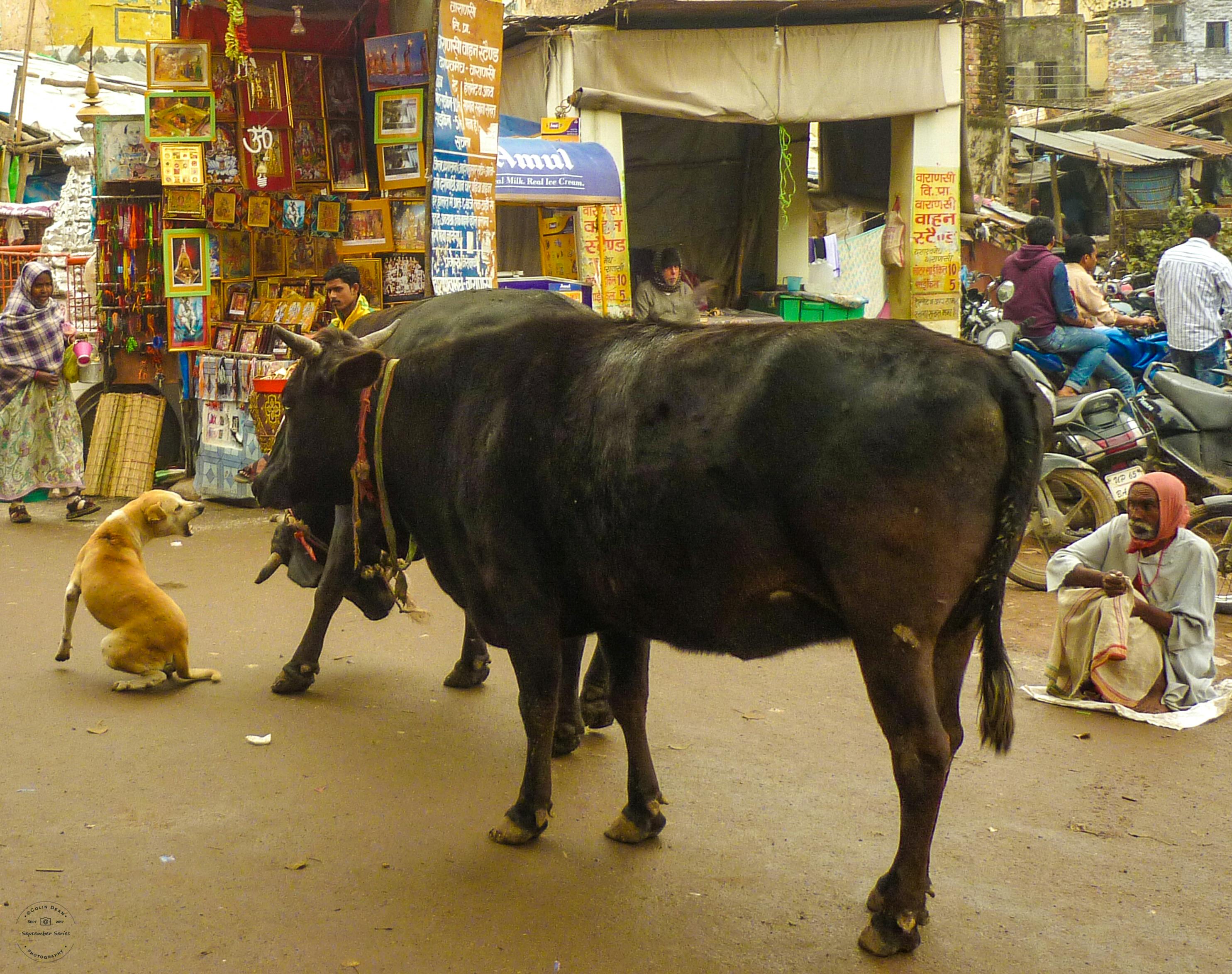 Colin Dean – Fotografia