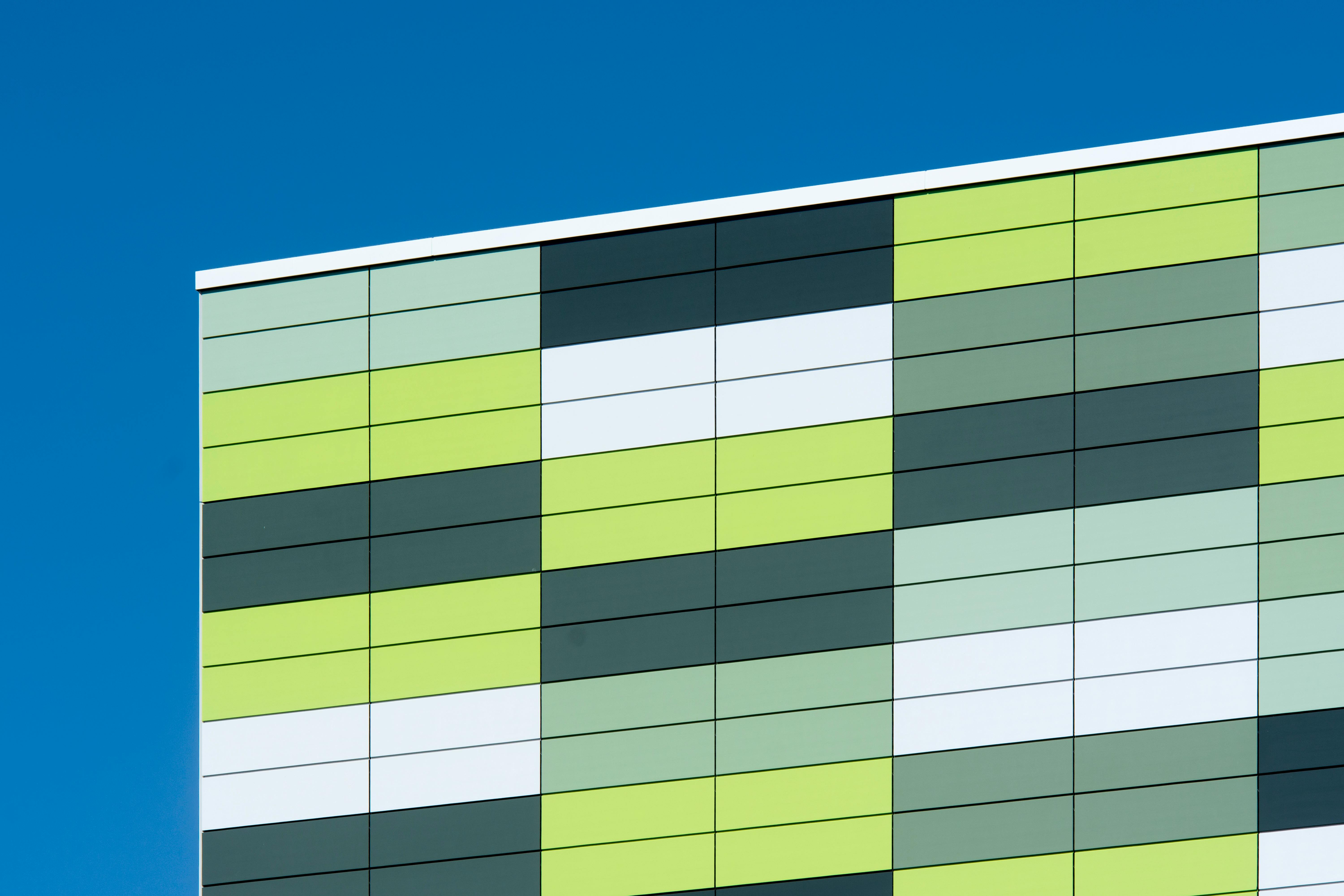 Jan van der Wolf - 사진