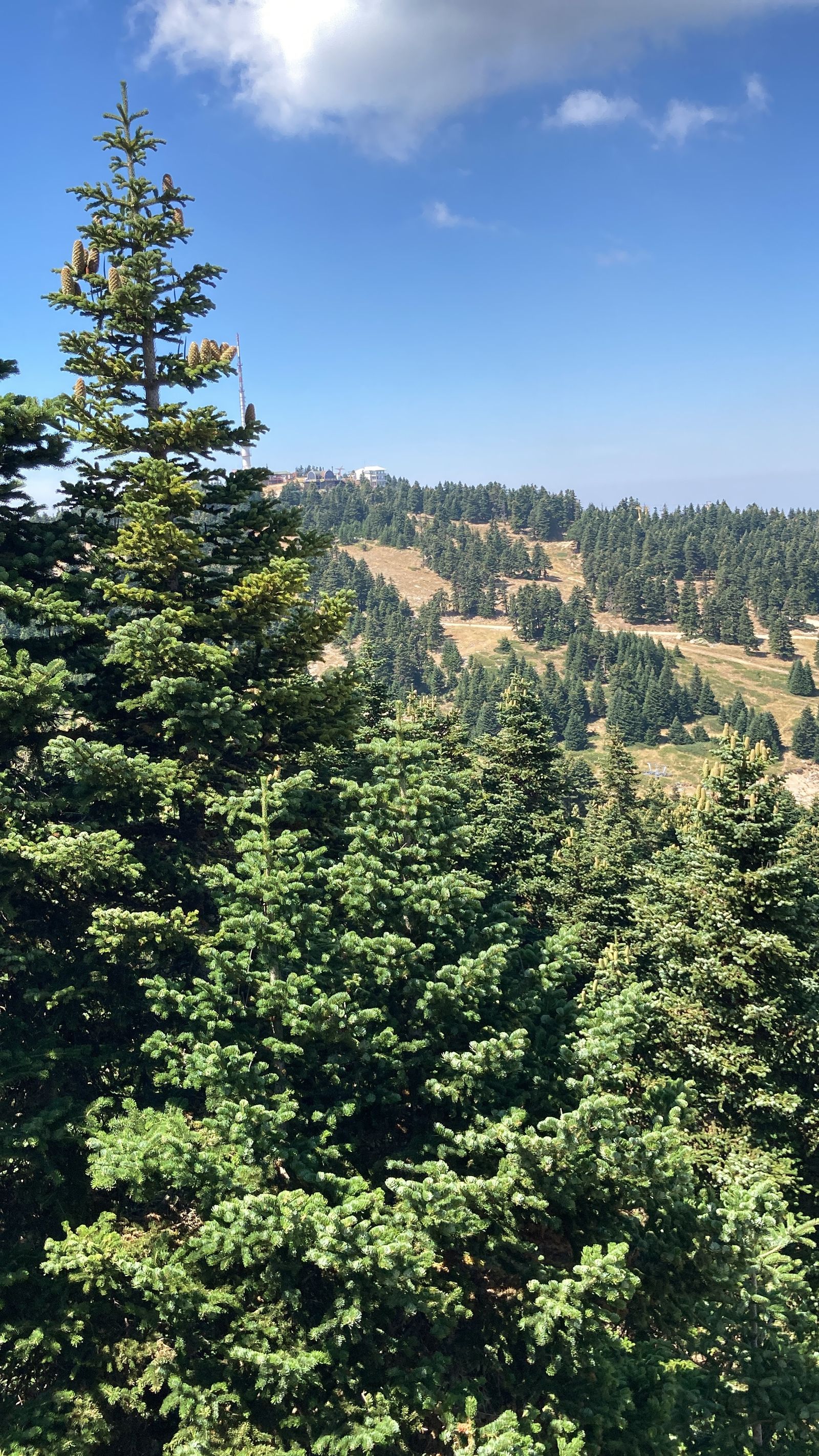 Sage Green Landscape Photos, Download The BEST Free Sage Green ...