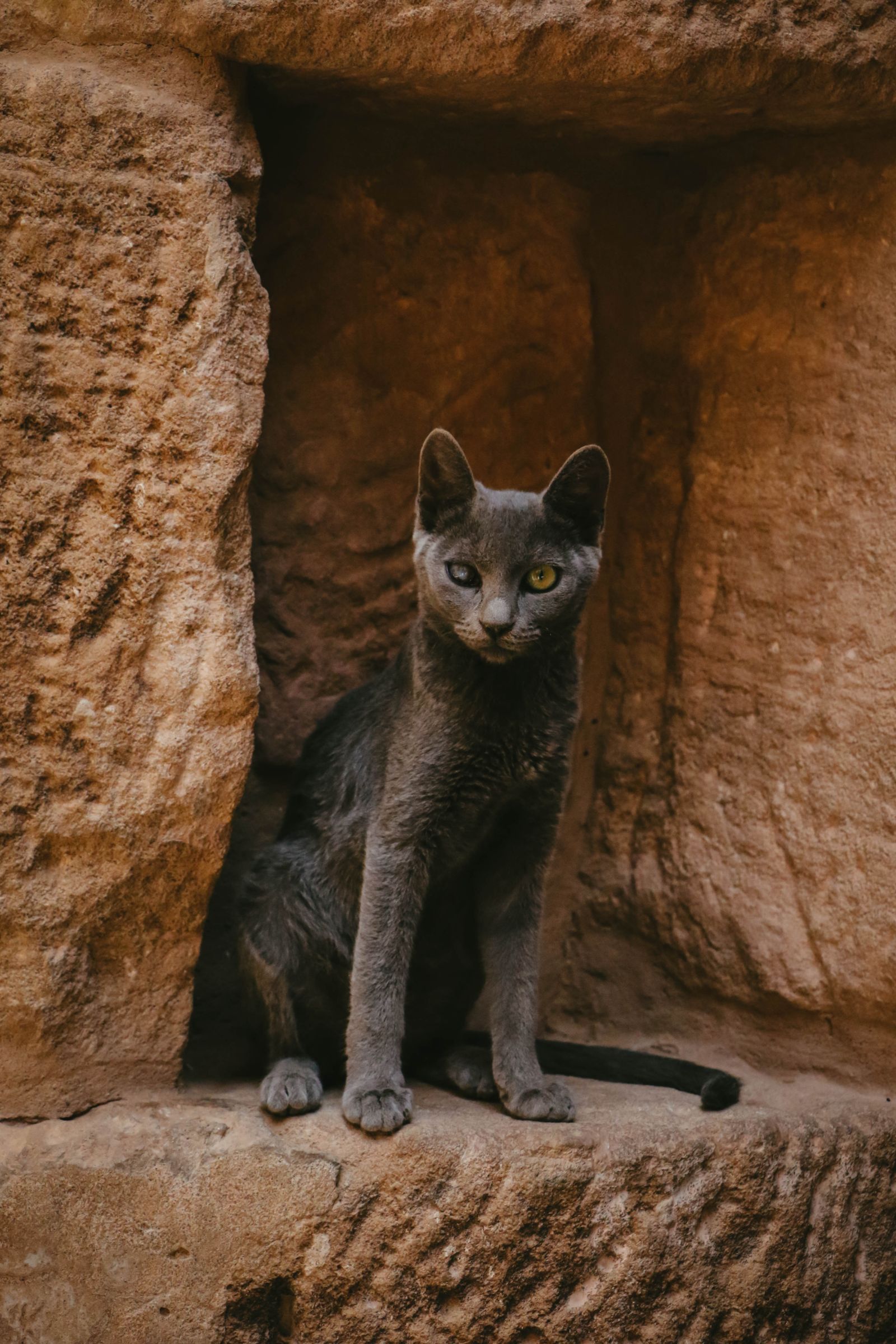 Niche Photos, Download The BEST Free Niche Stock Photos & HD Images