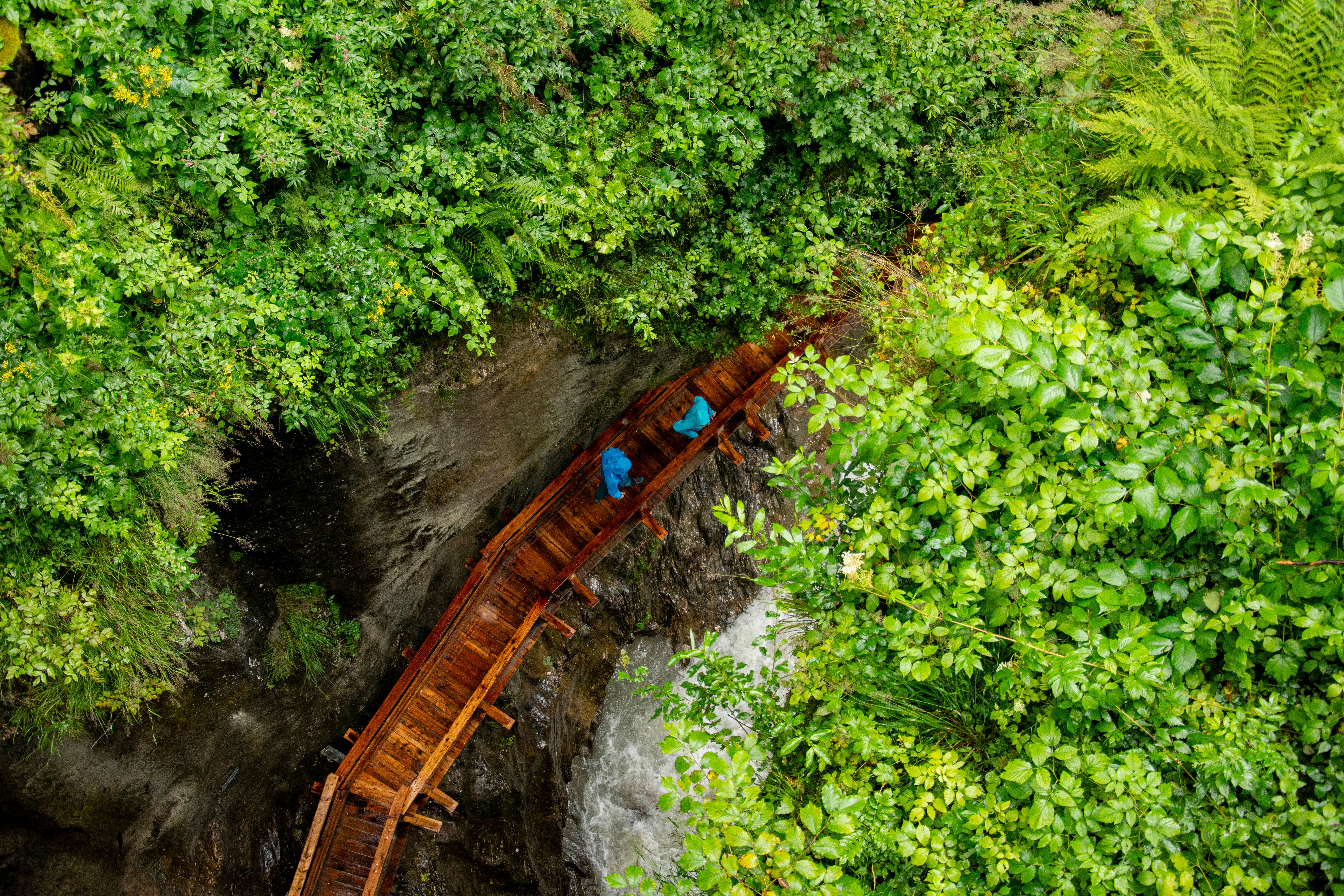 Foto de stock gratuita sobre accesibilidad, árboles verdes, barranco ...