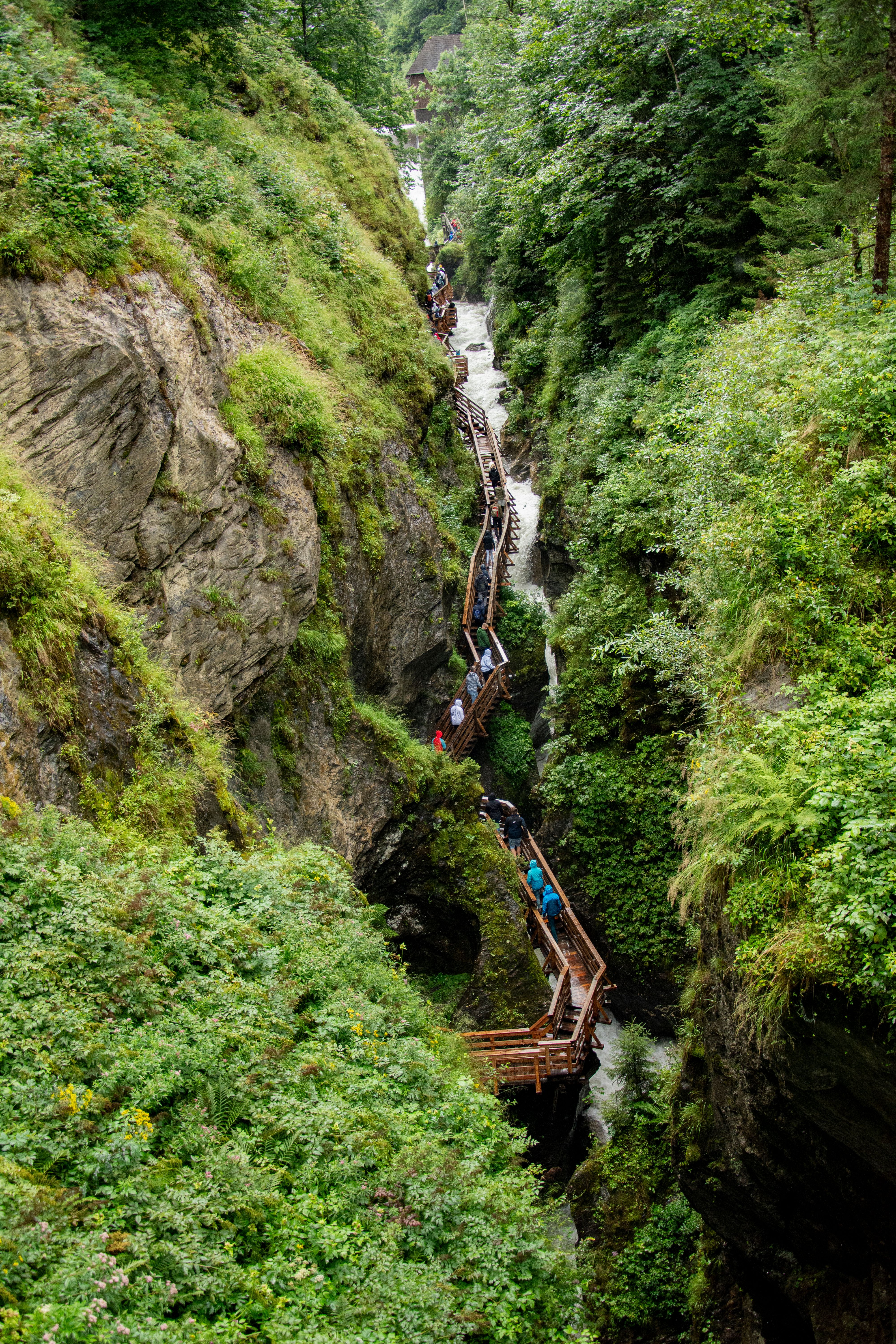 Tourists on a Boardwalk Stretching along a Narrow Ravine · Free Stock Photo