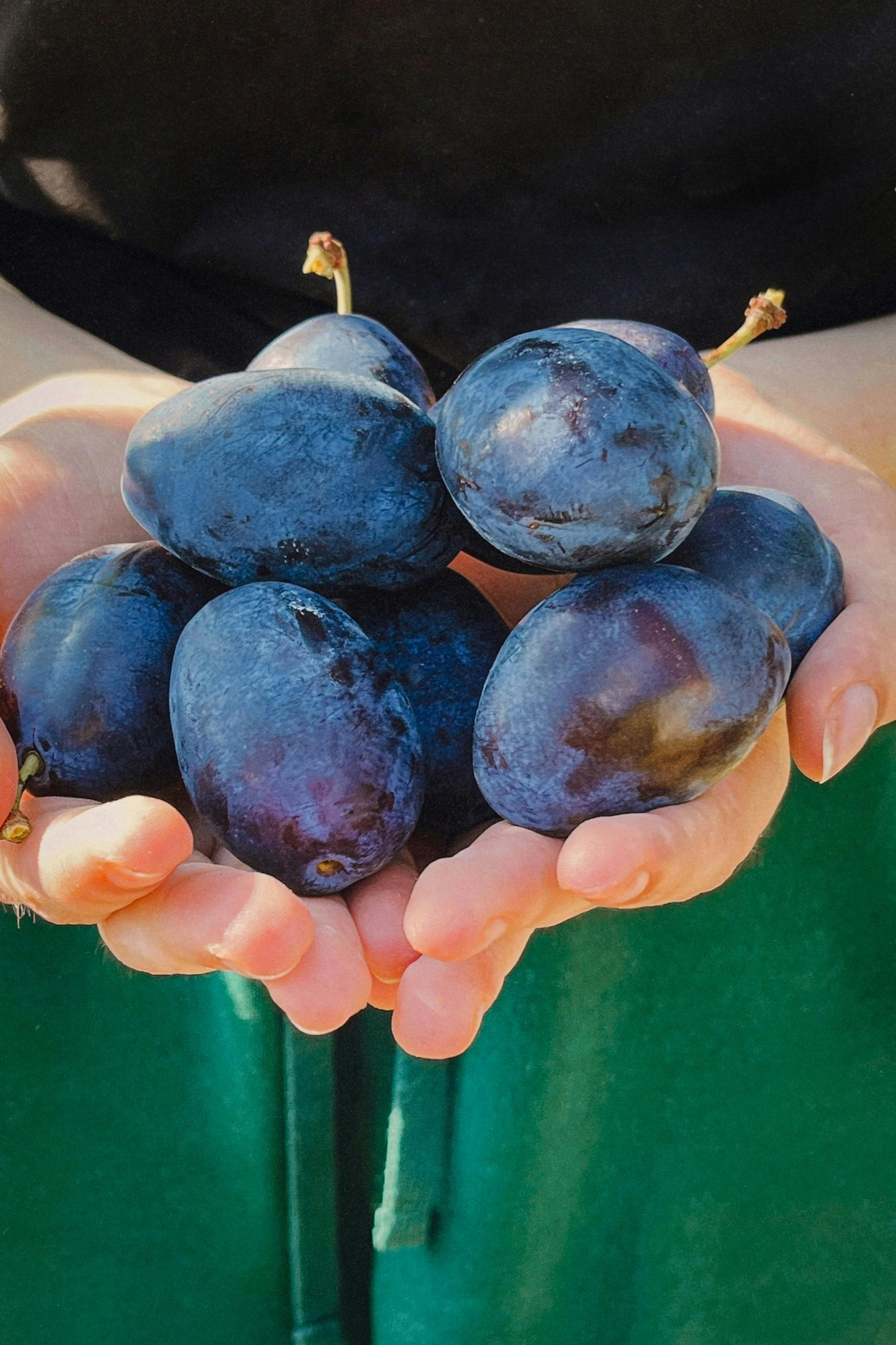 Monk Fruit Photos, Download The BEST Free Monk Fruit Stock Photos & HD ...