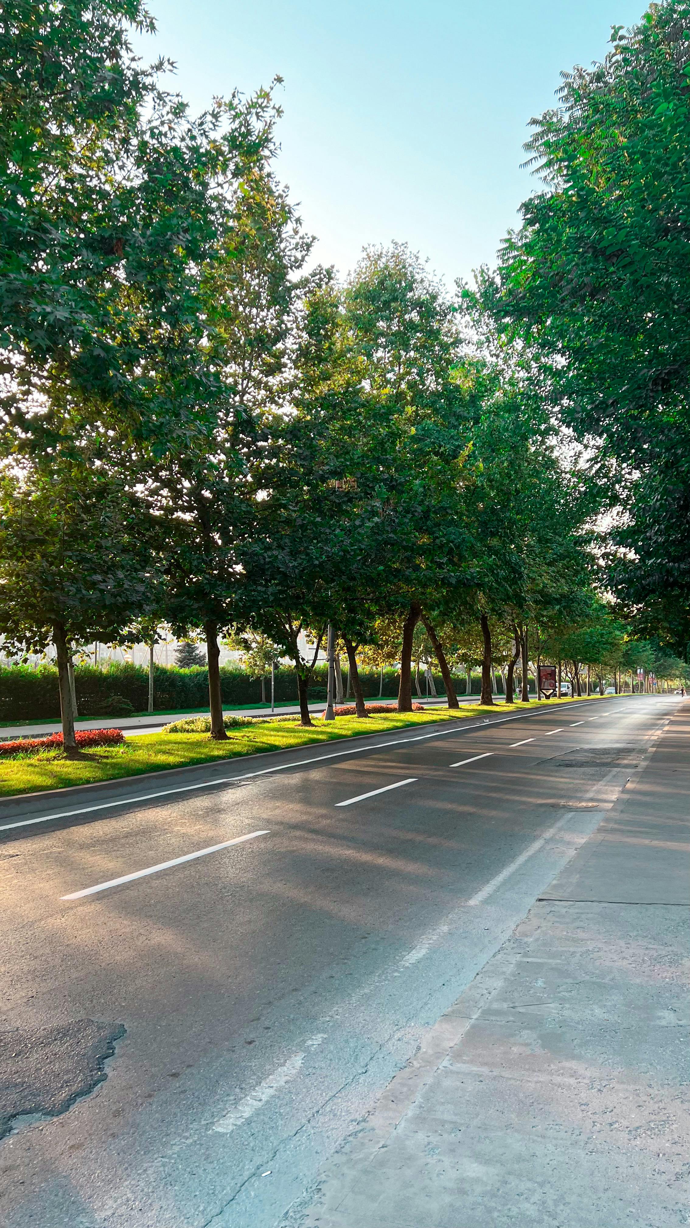 Meryem Meva - Photography