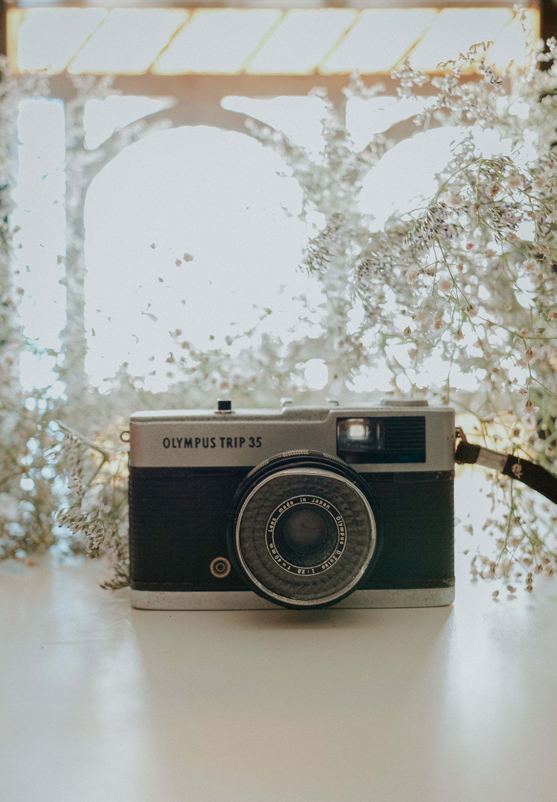 Black and Gray Film Camera on Green Floral Textile · Free Stock Photo