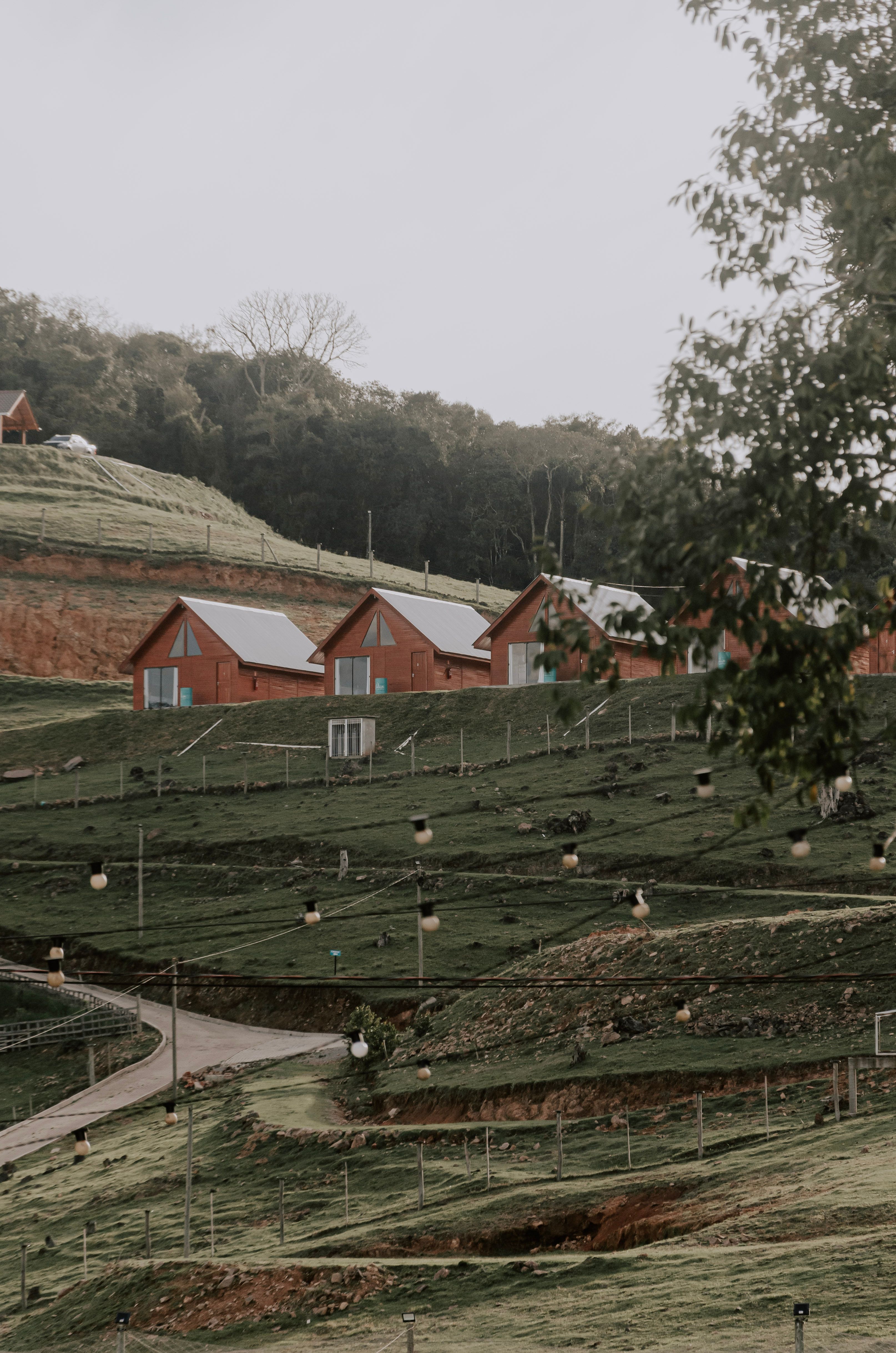 Nandi Village Photos, Download The BEST Free Nandi Village Stock Photos ...