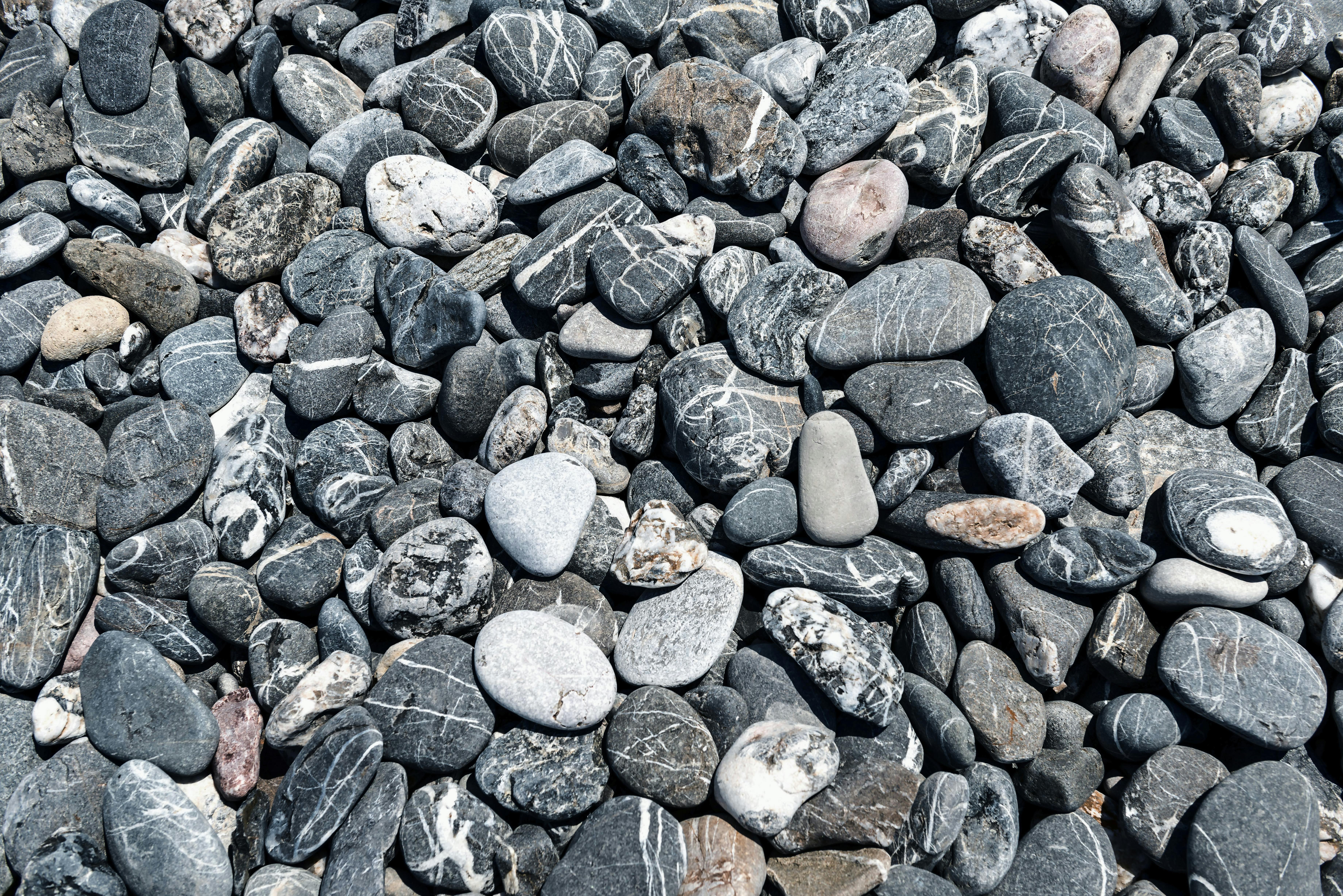 Bokep+Ibu+Kos Photos, Download The BEST Free Bokep+Ibu+Kos Stock Photos & HD Images