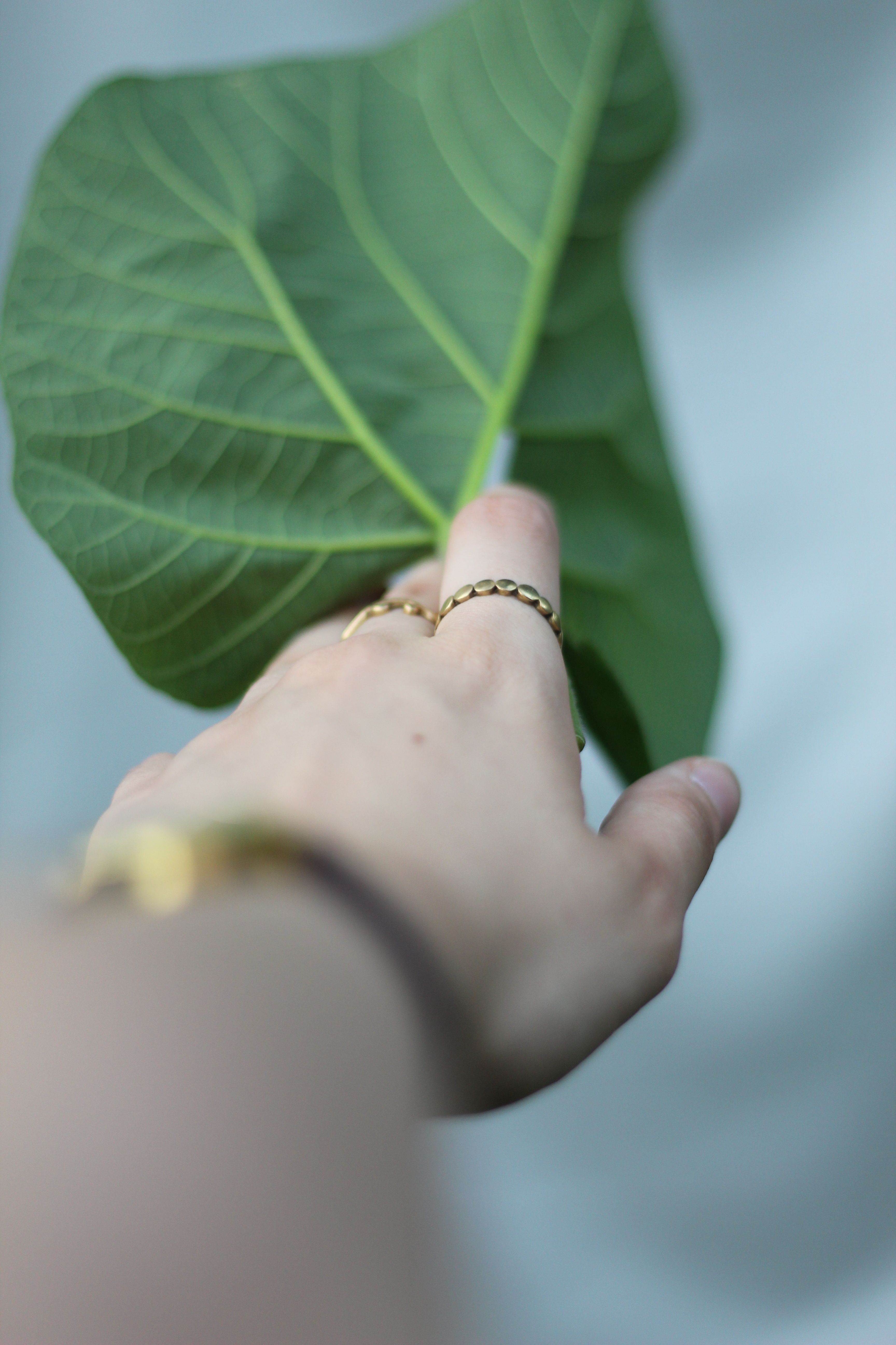 Hand Reaching Green Leaf · Free Stock Photo