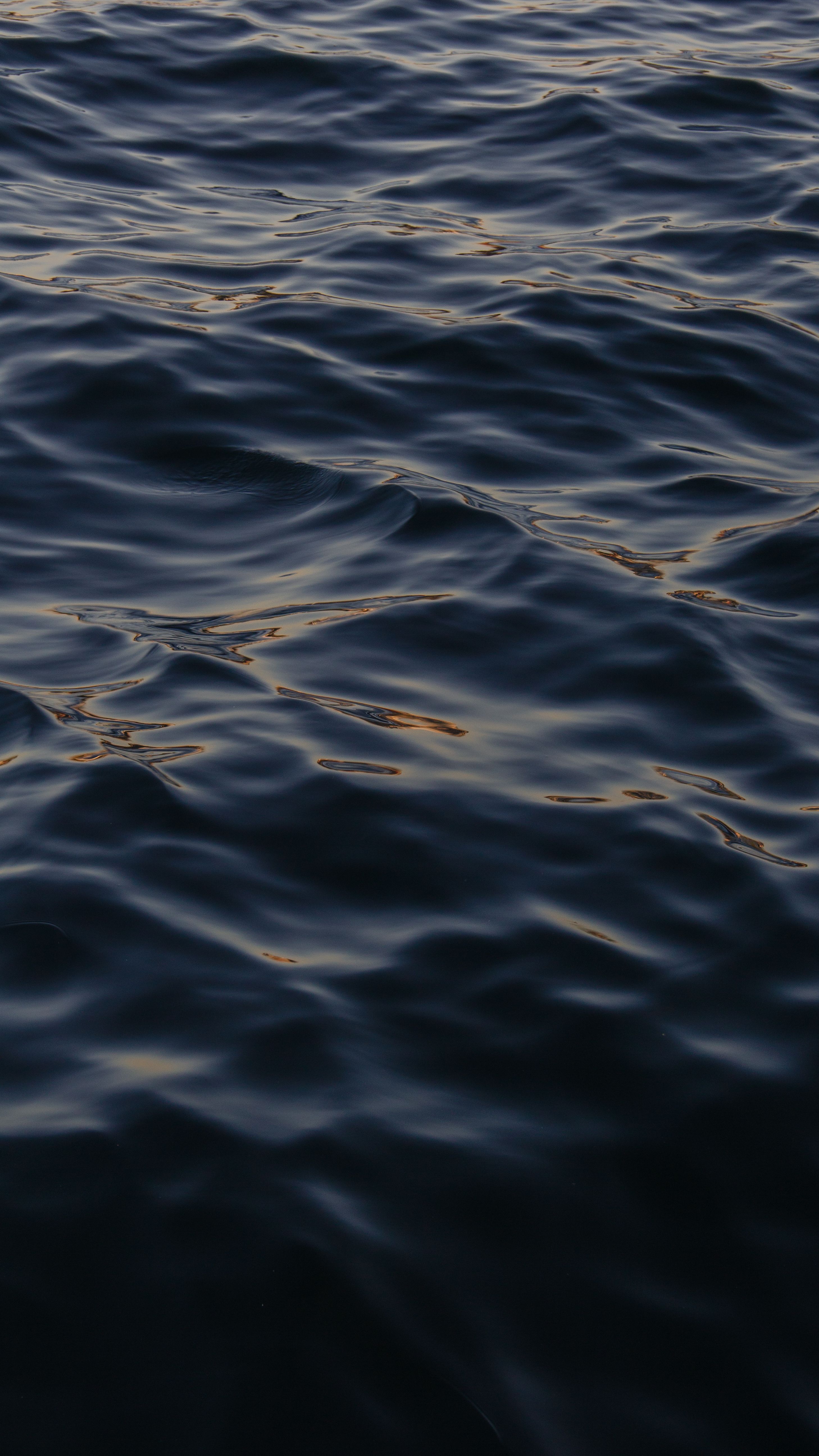 Close-up of the Sea Surface · Free Stock Photo