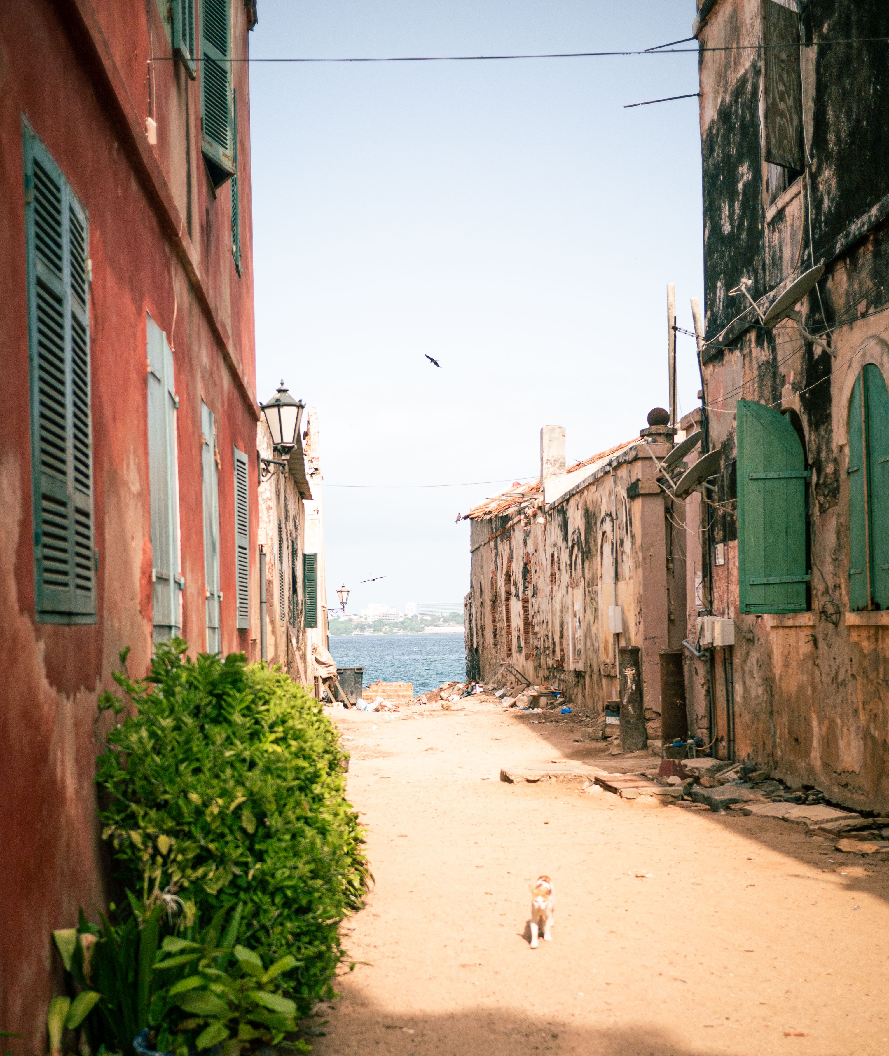 Senegal Photos, Download The BEST Free Senegal Stock Photos & HD Images