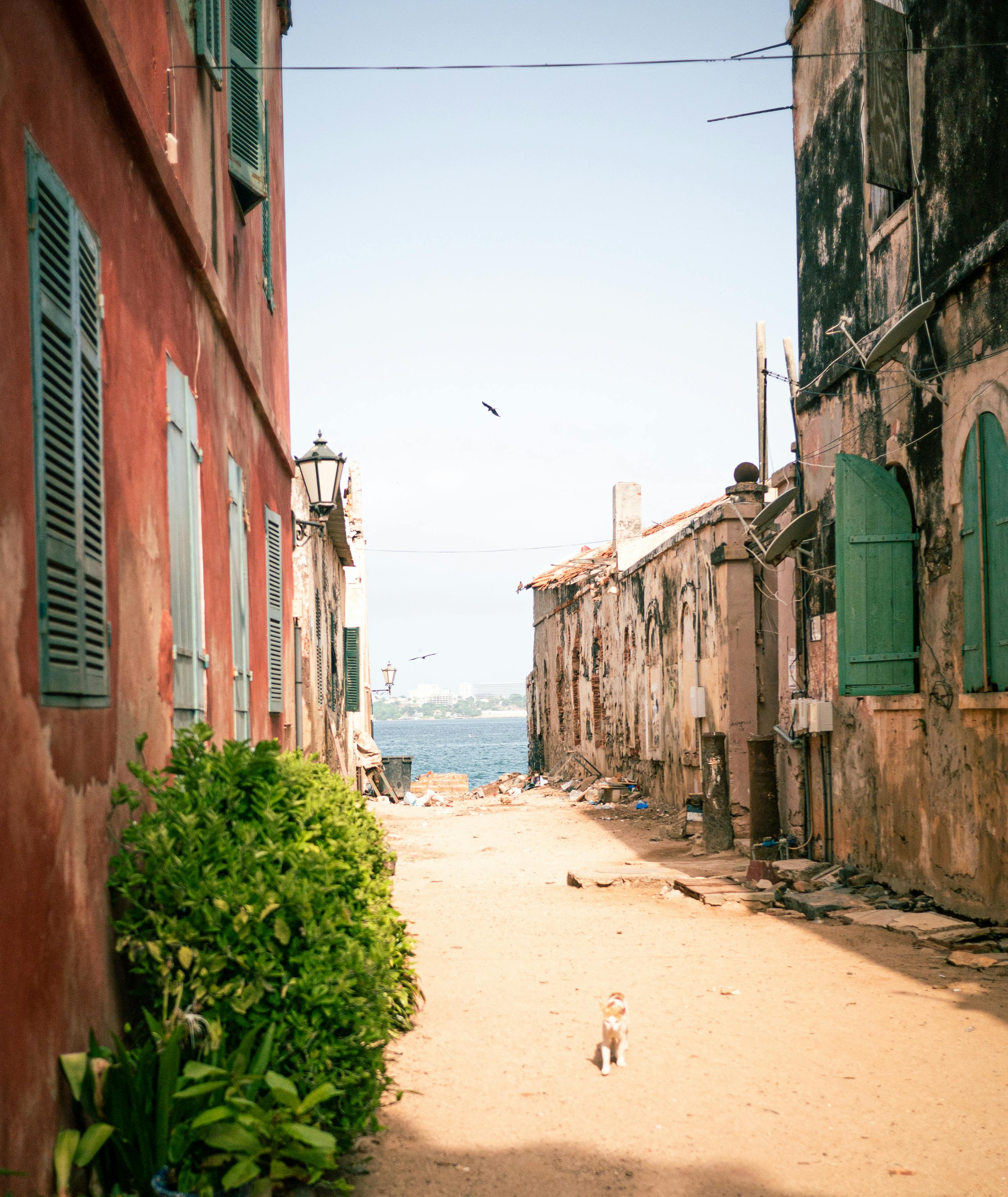 Sand Street in Town in Senegal · Free Stock Photo