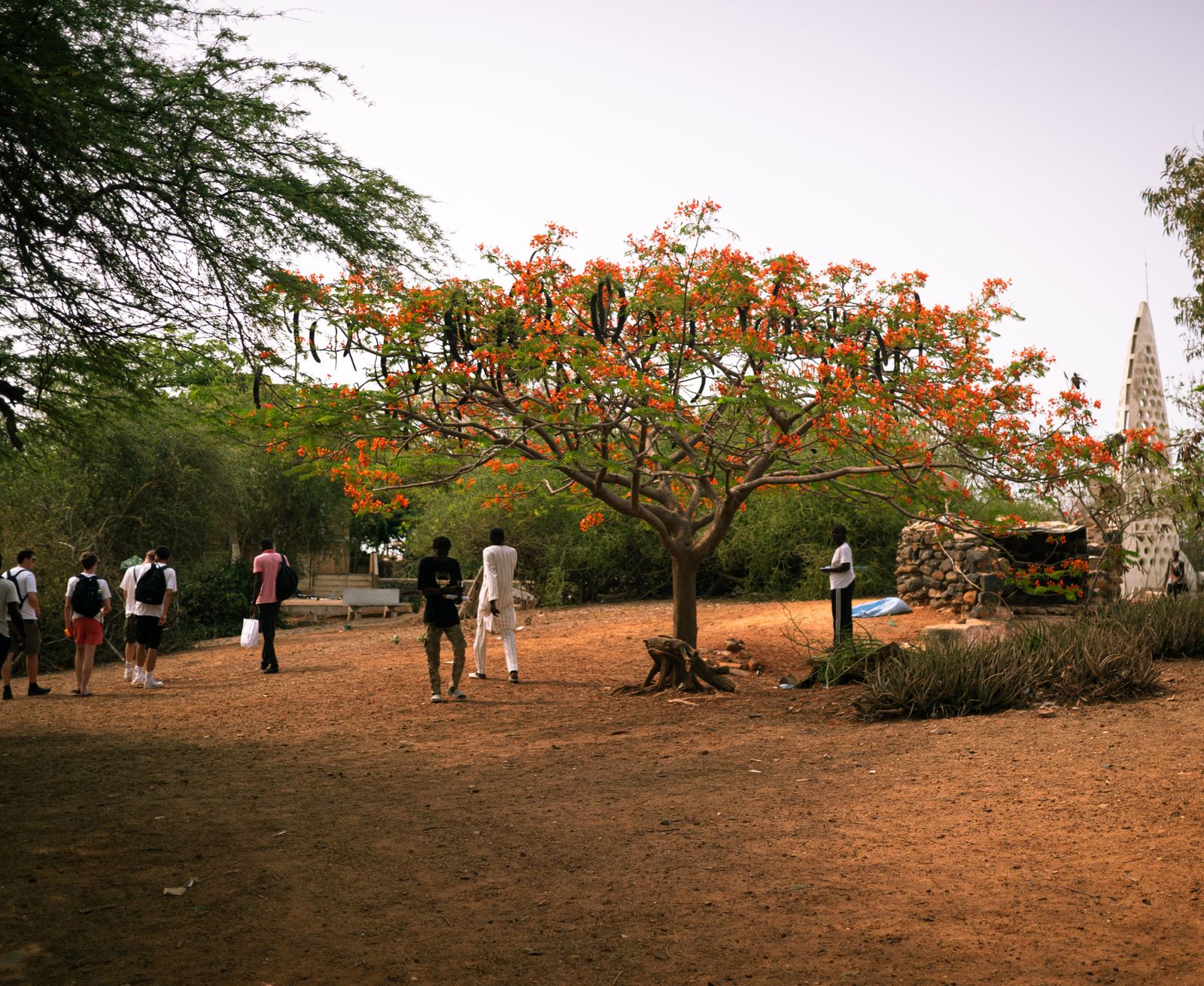 Senegal Photos, Download The BEST Free Senegal Stock Photos & HD Images