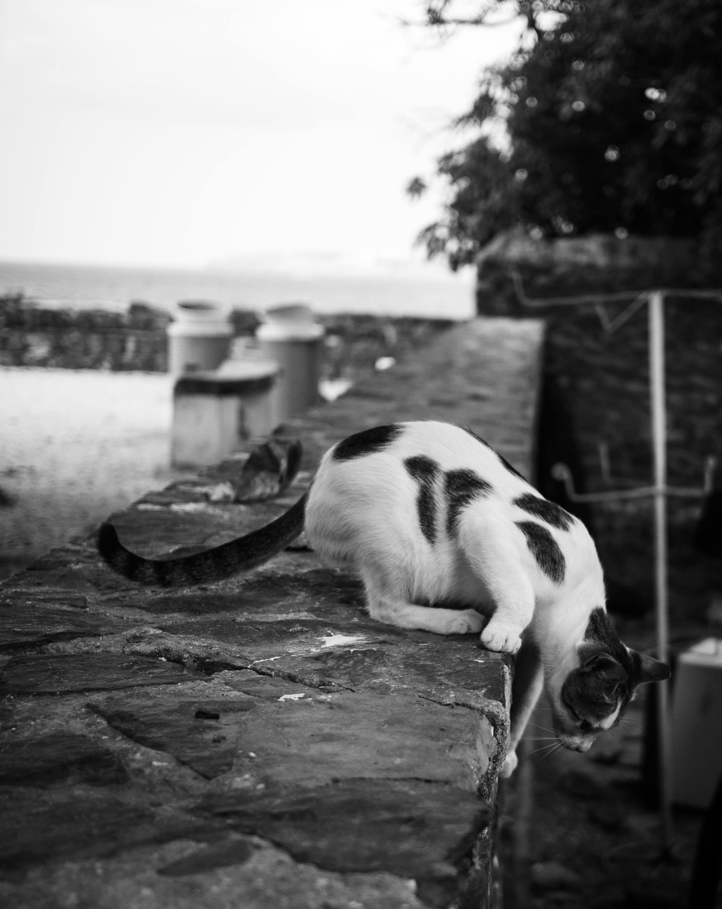 400 000+ Simple Lock Screen Wallpaper banque d’images et photos libres ...