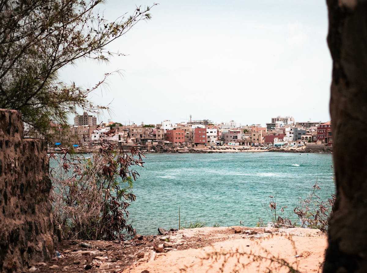 Senegal Photos, Download The BEST Free Senegal Stock Photos & HD Images