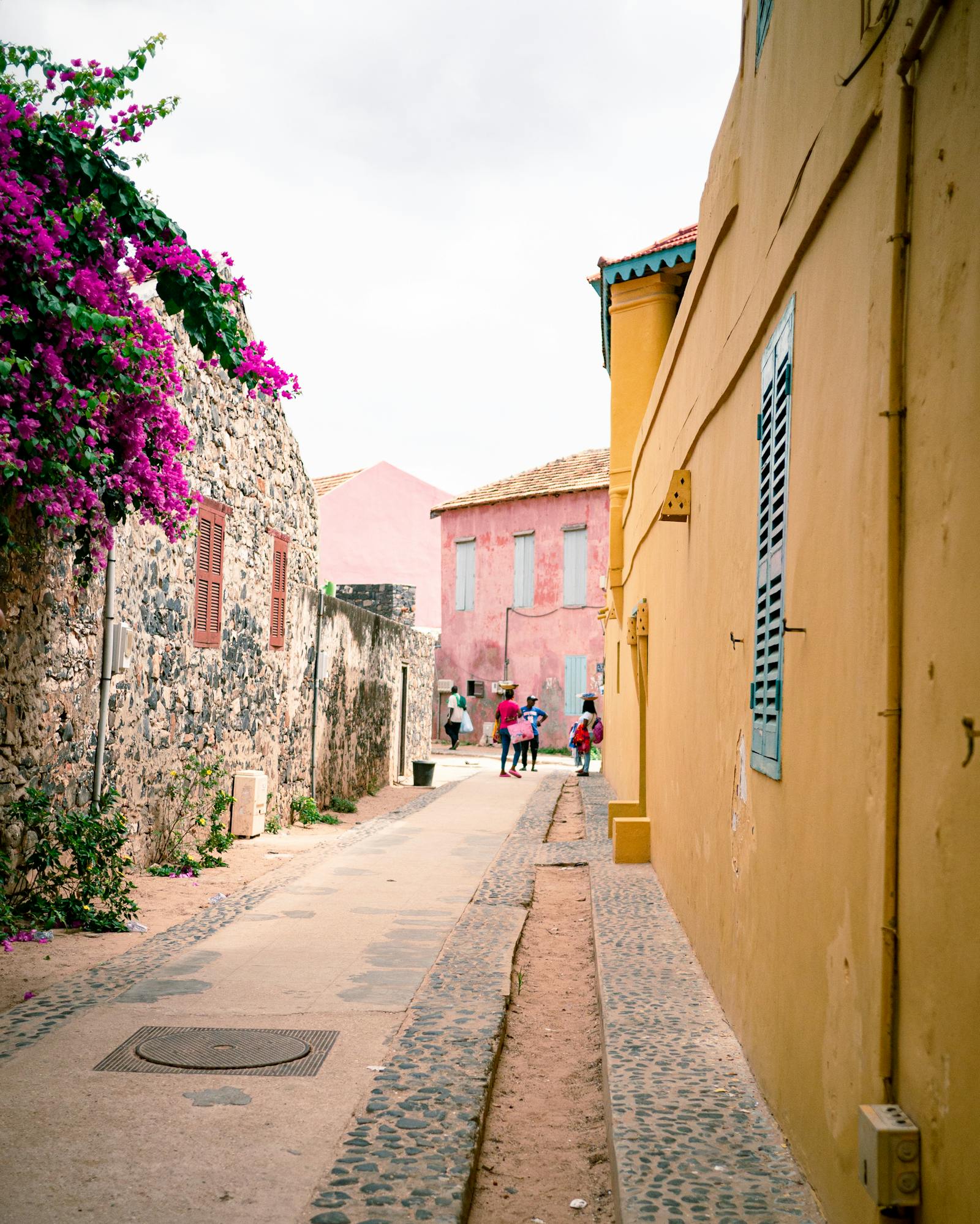 Senegal Photos, Download The BEST Free Senegal Stock Photos & HD Images