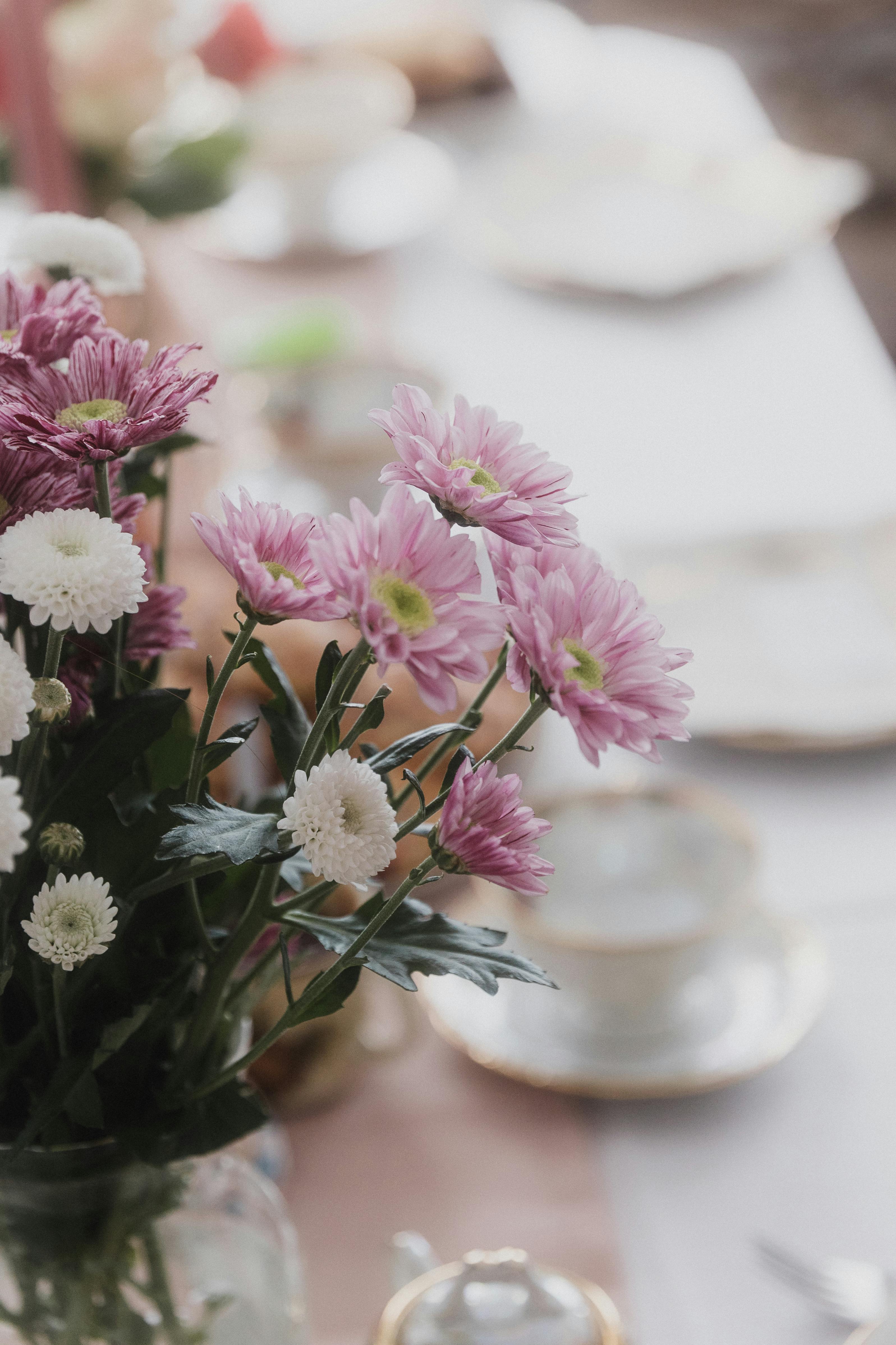 White Daisy Flower On A Table · Free Stock Photo