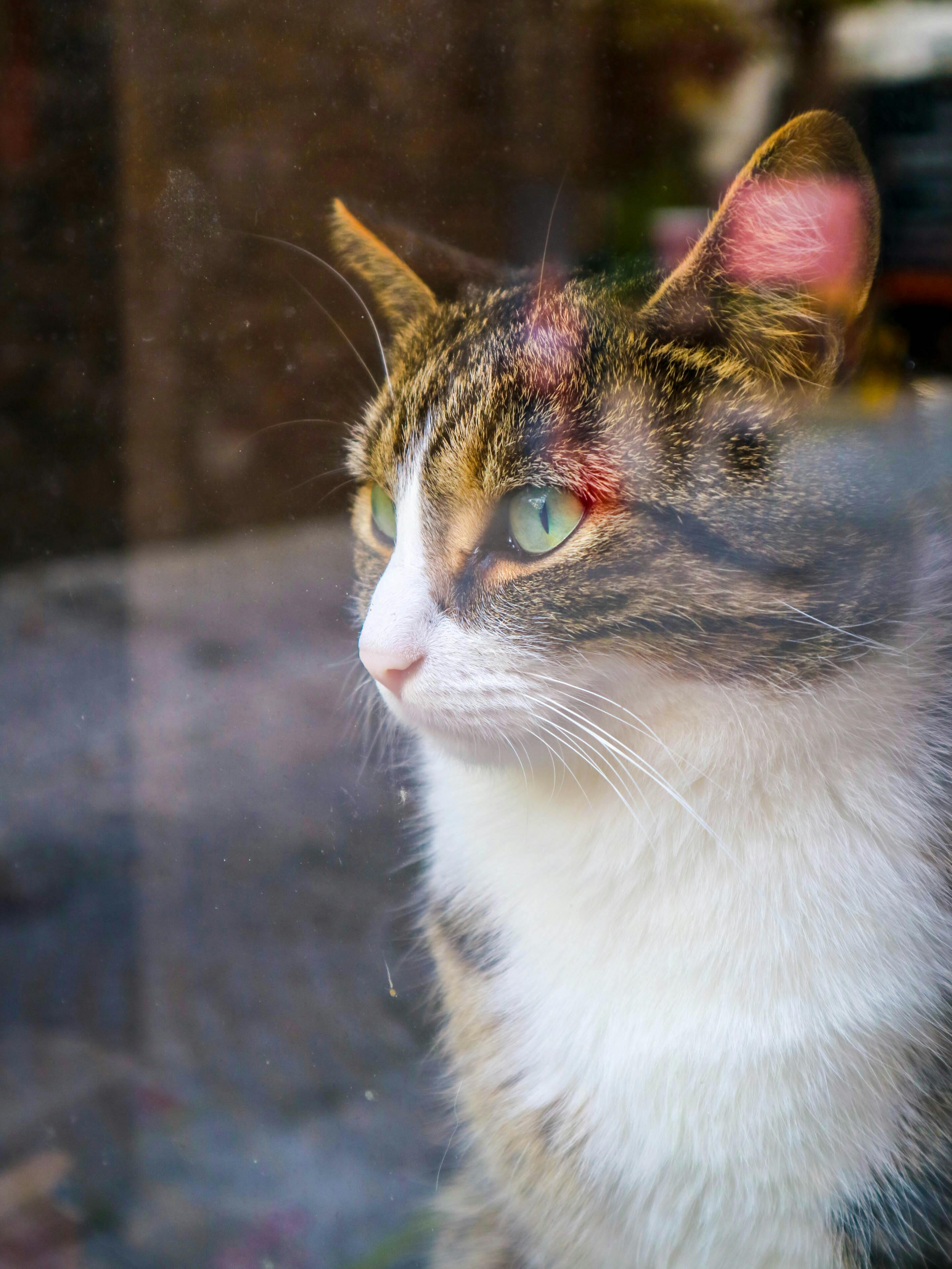 Matthew Yu - Fotografía