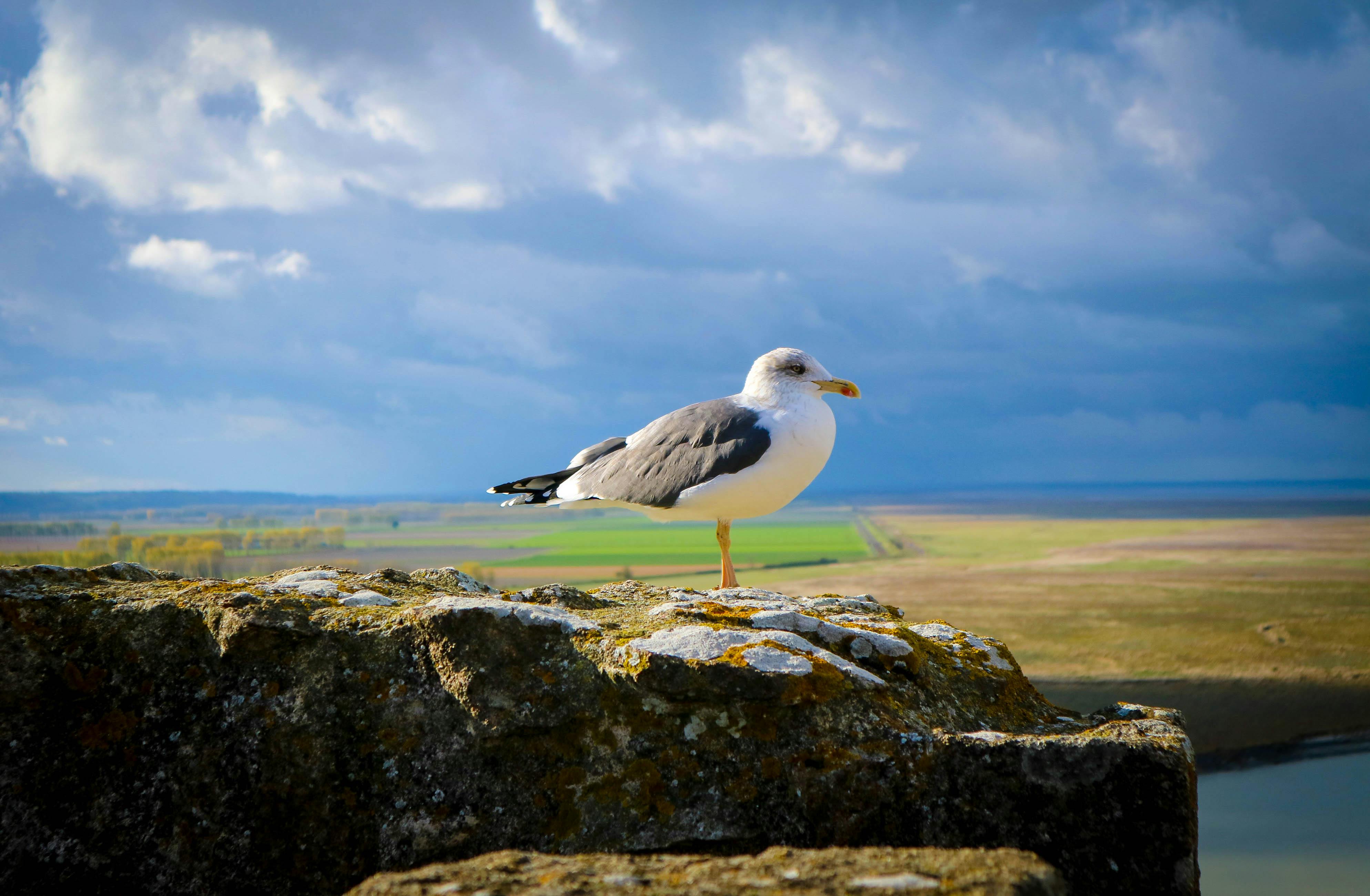 Matthew Yu - Fotografía