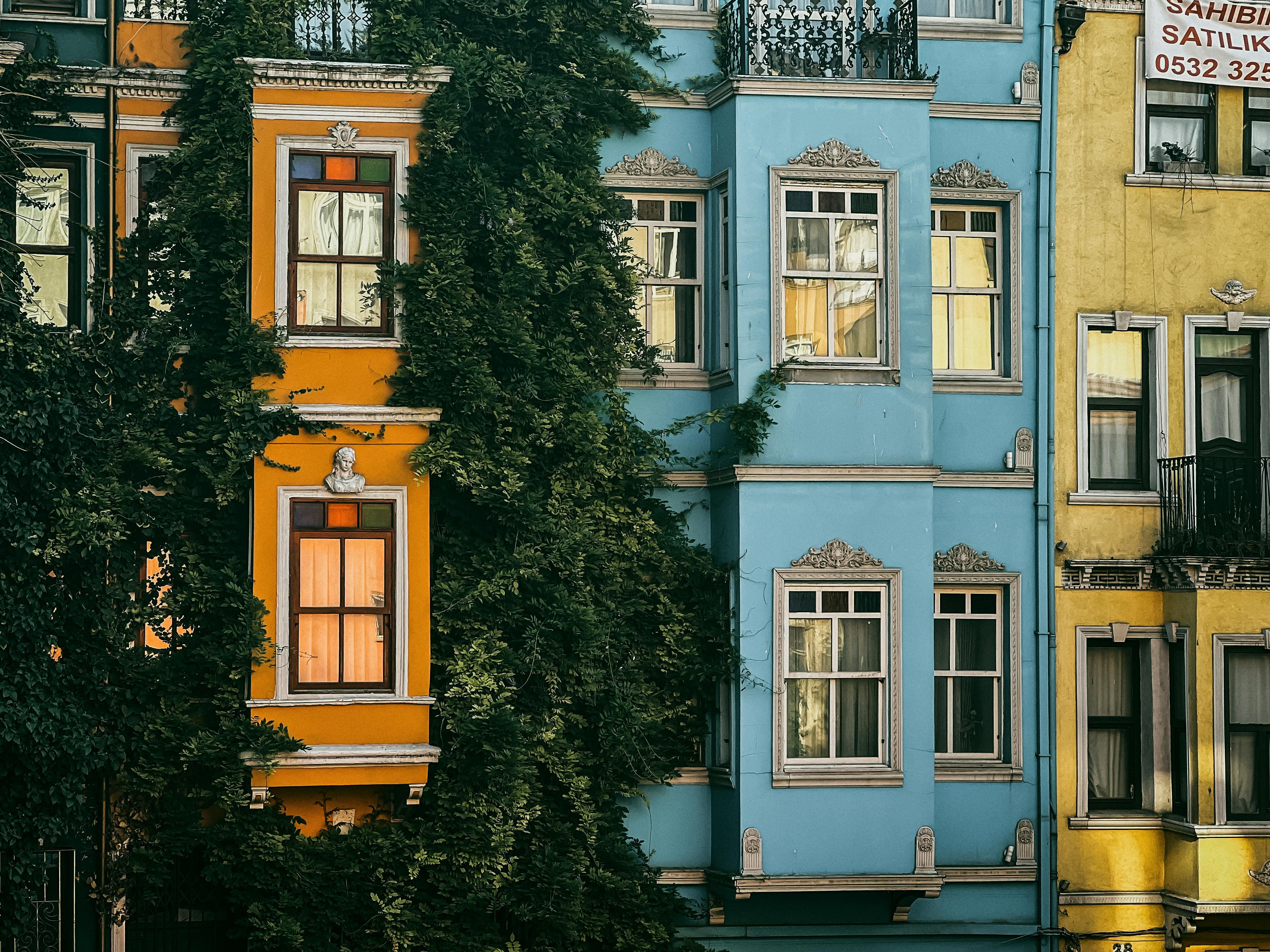 Facades of Colorful Tenement Houses Covered with Ivy · Free Stock Photo