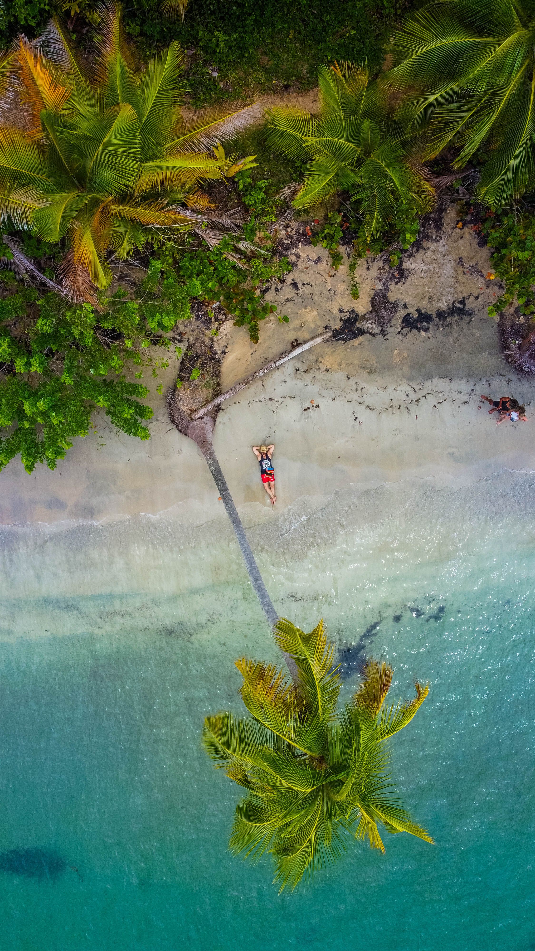 Man Lying on Tropical Beach · Free Stock Photo