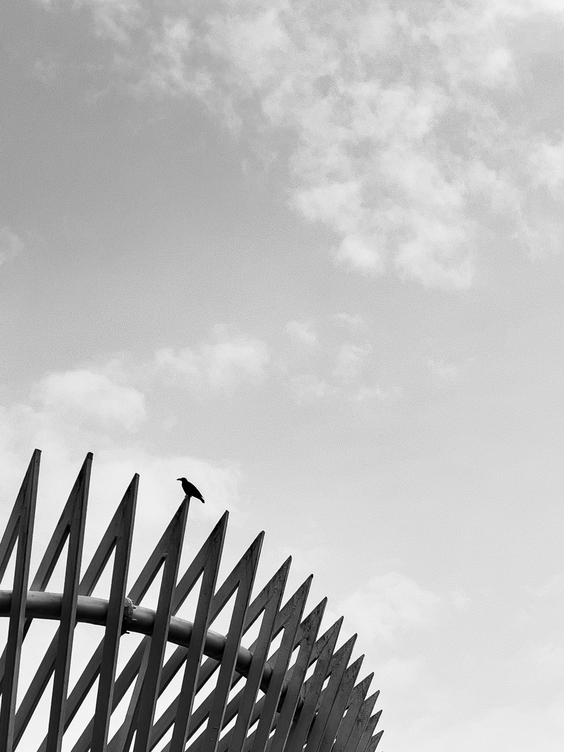 Bird Sitting on Spiky Structure · Free Stock Photo