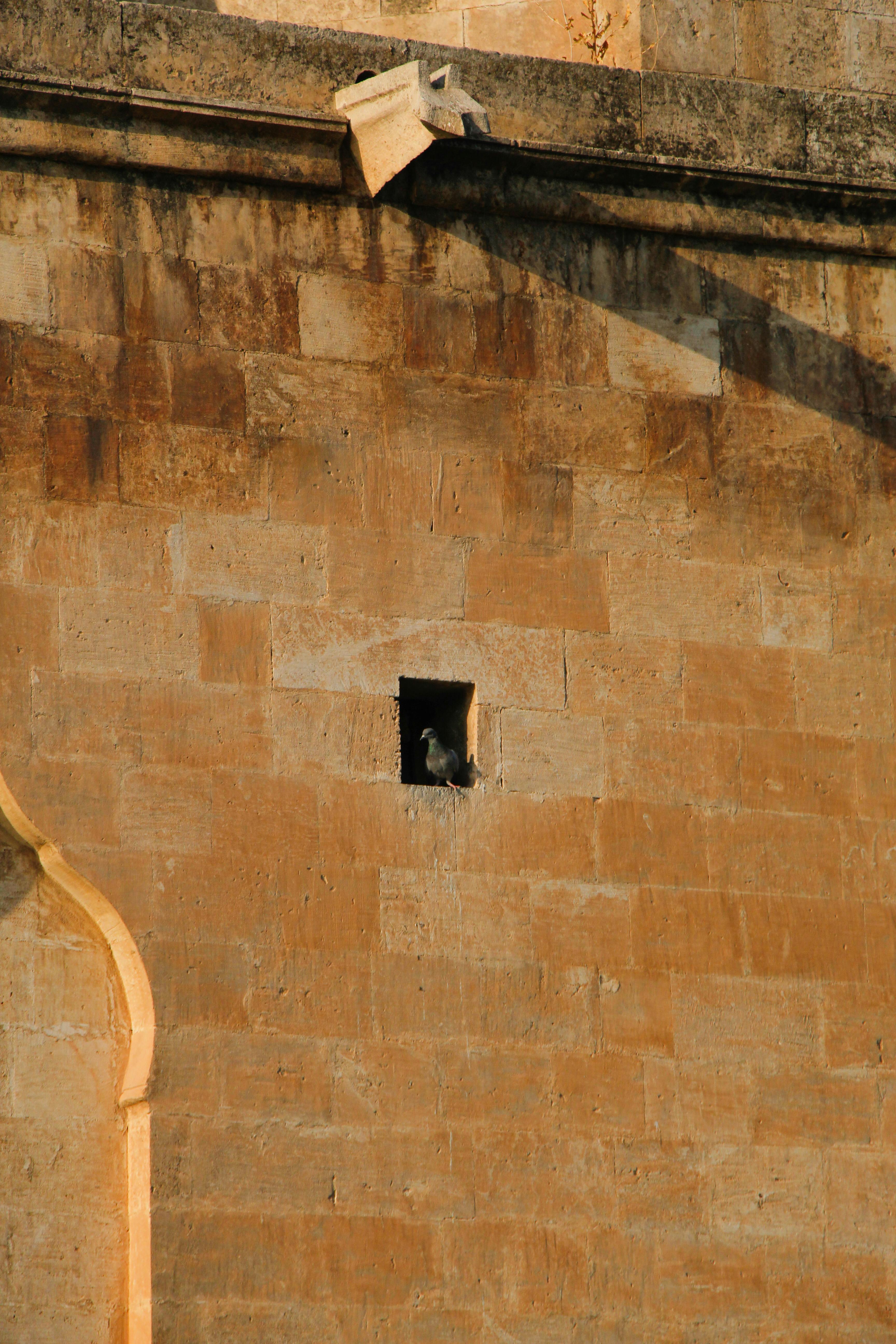 Pigeon Holes Photos, Download The BEST Free Pigeon Holes Stock Photos ...