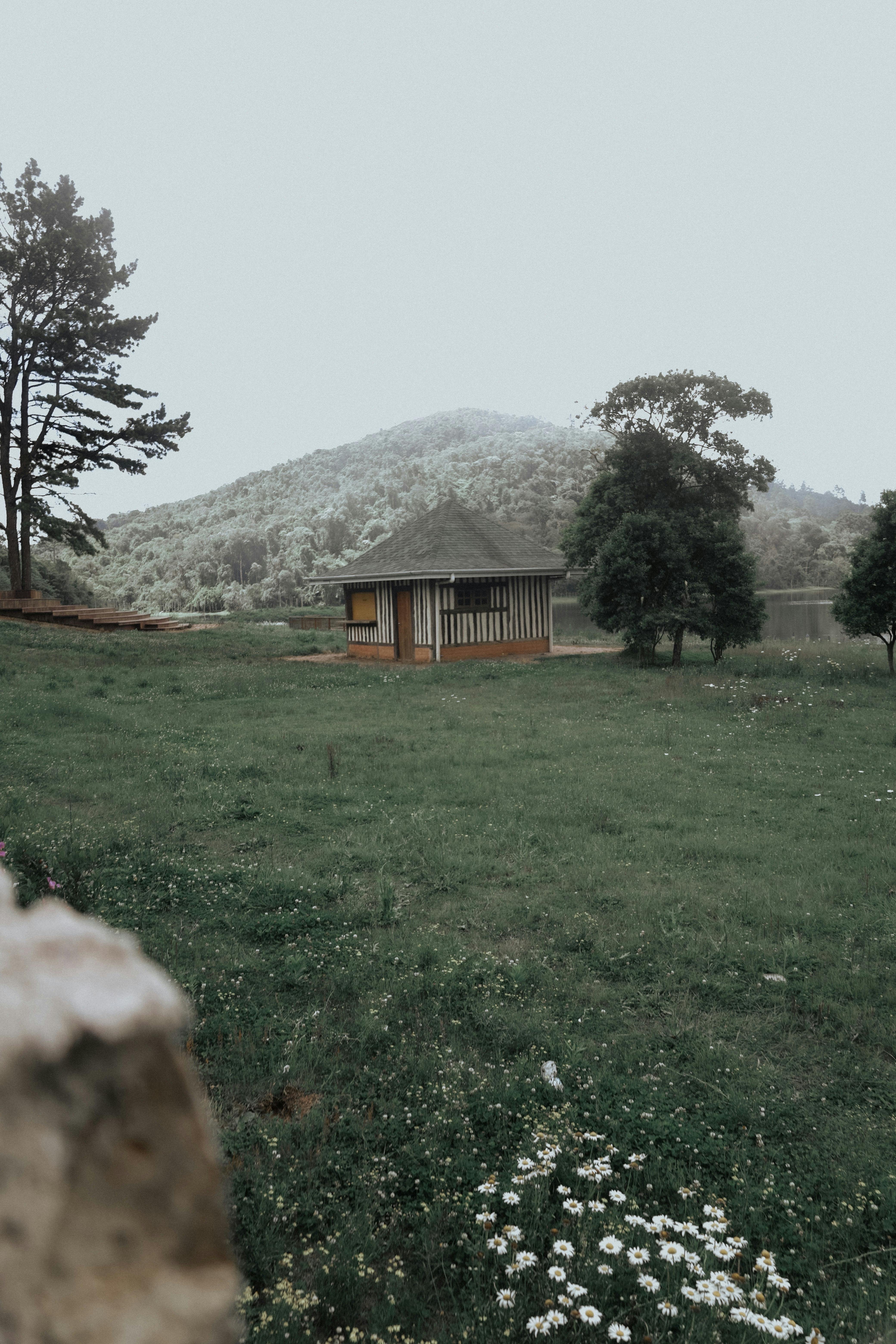 Foto profissional gratuita de américa do sul, ao ar livre, arquitetura ...