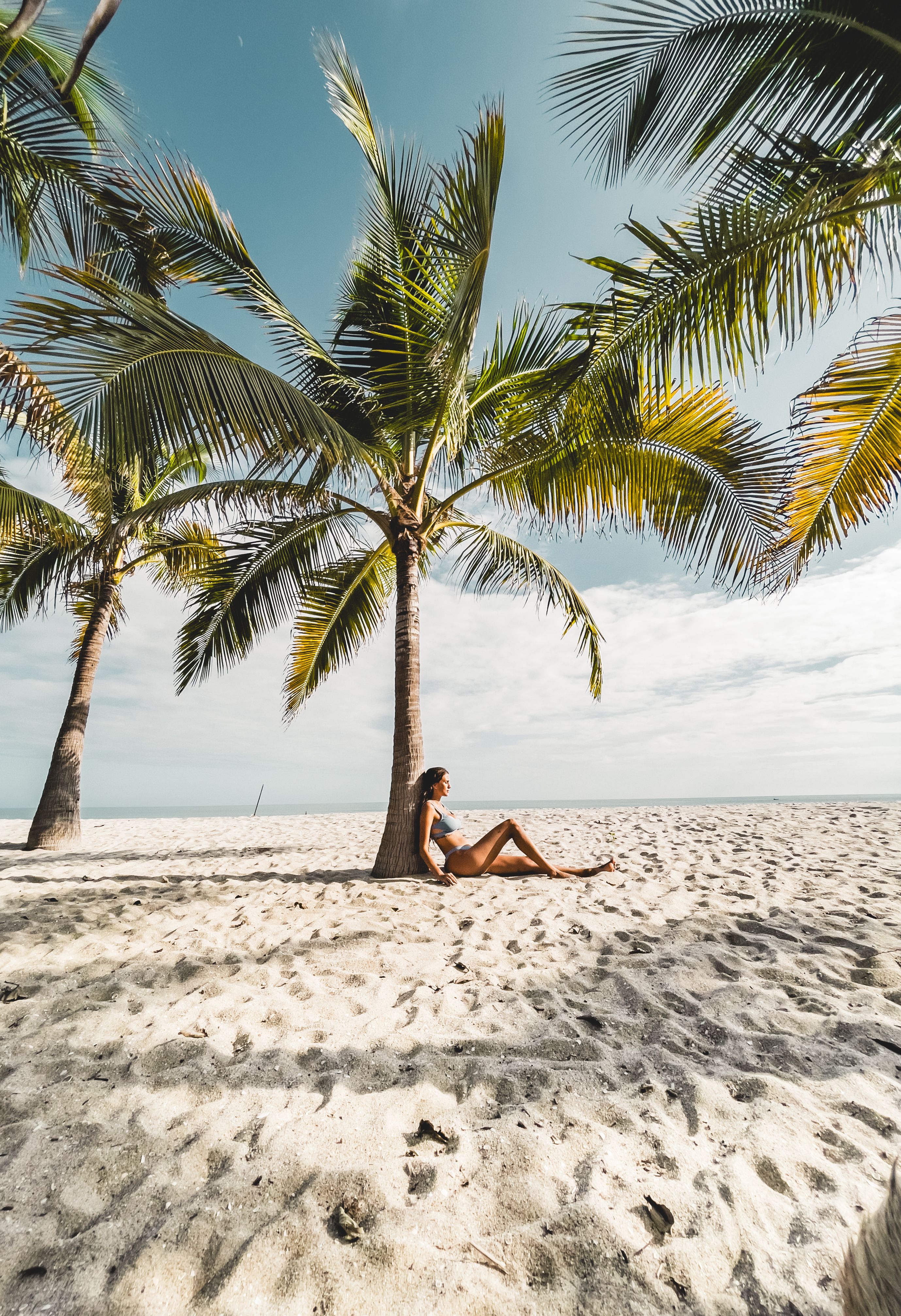 Woman Sitting under Palm Tree on Beach · Free Stock Photo