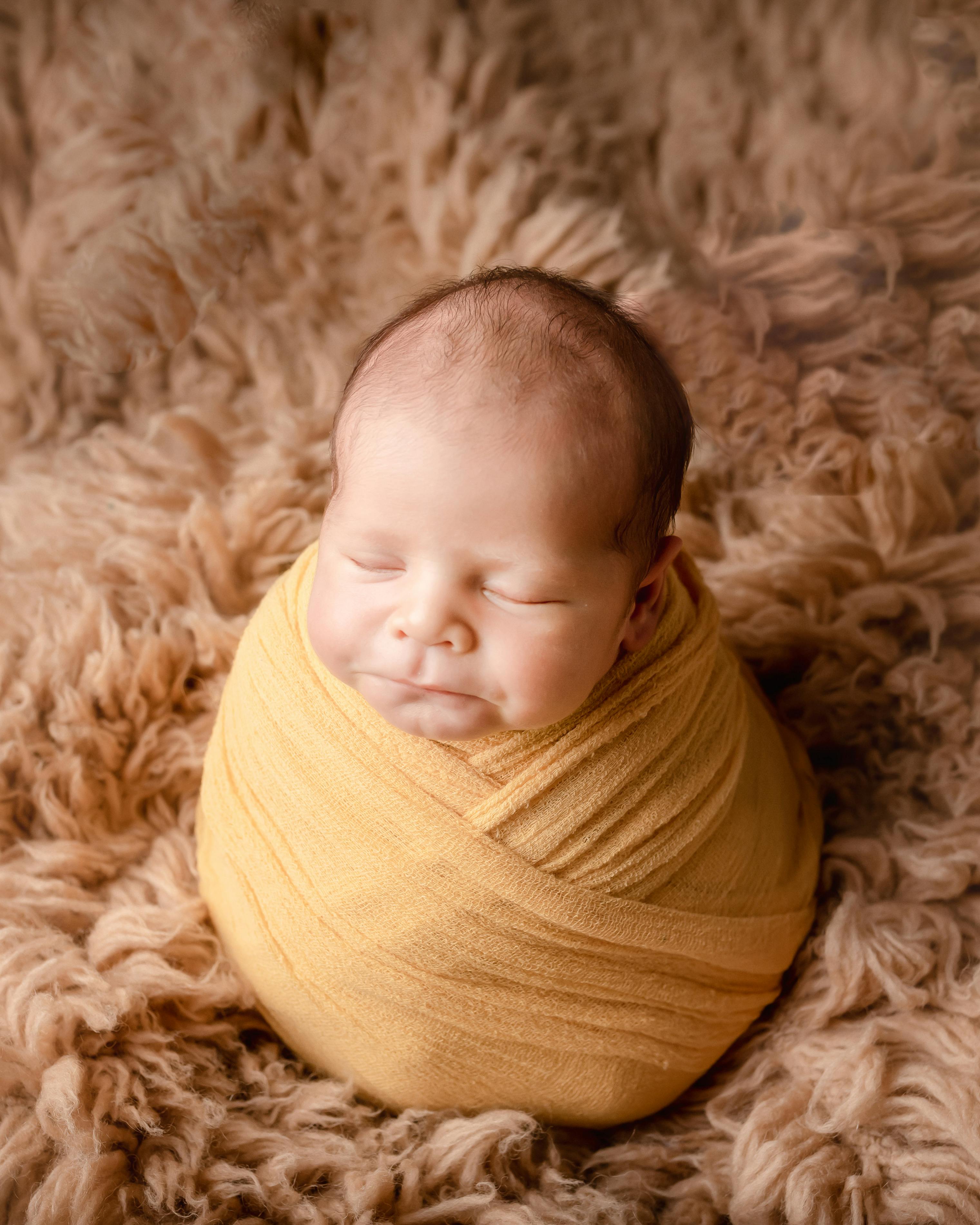 Baby in Cocoon · Free Stock Photo