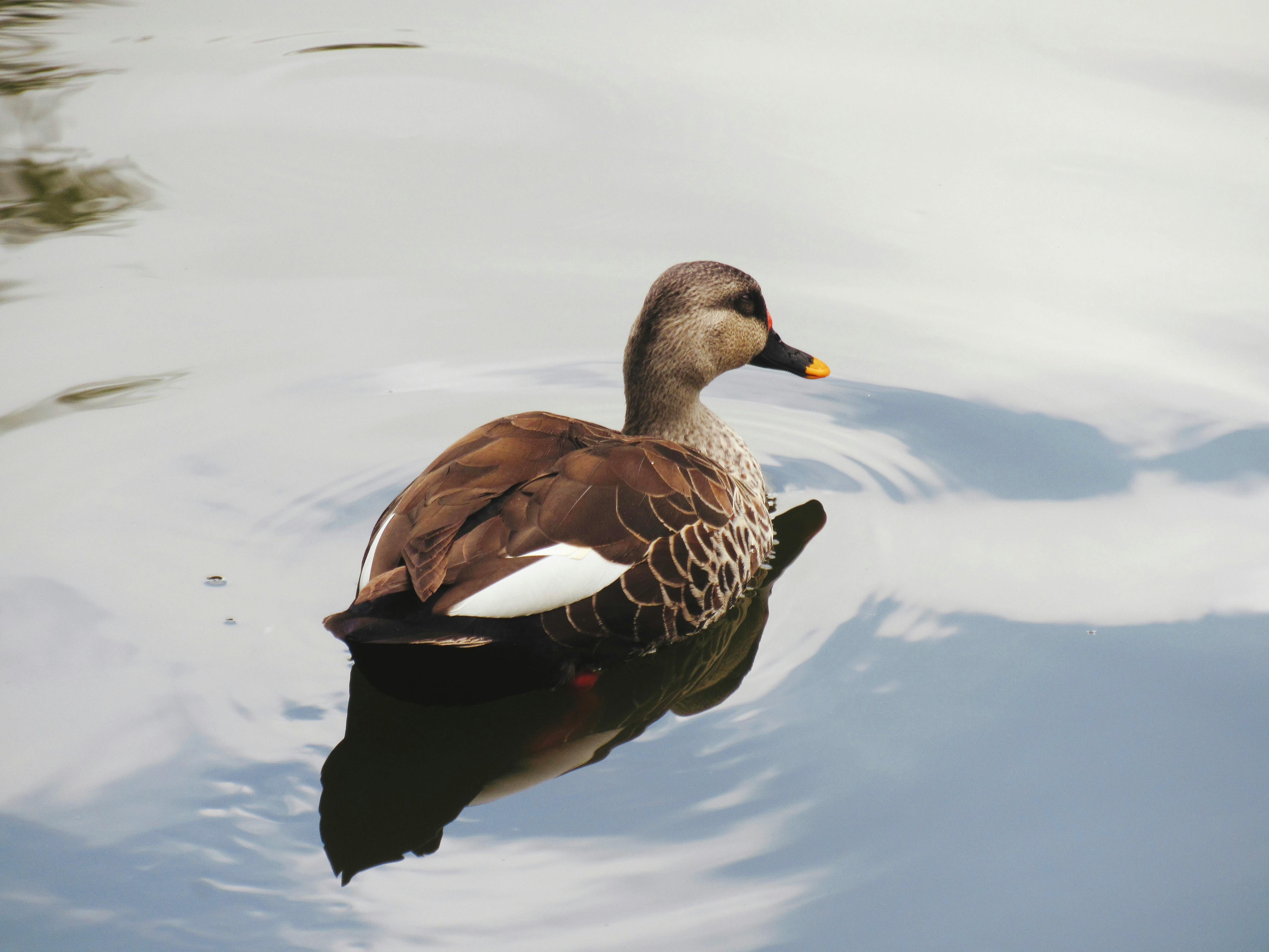 Kenneth Christopher - Fotografía