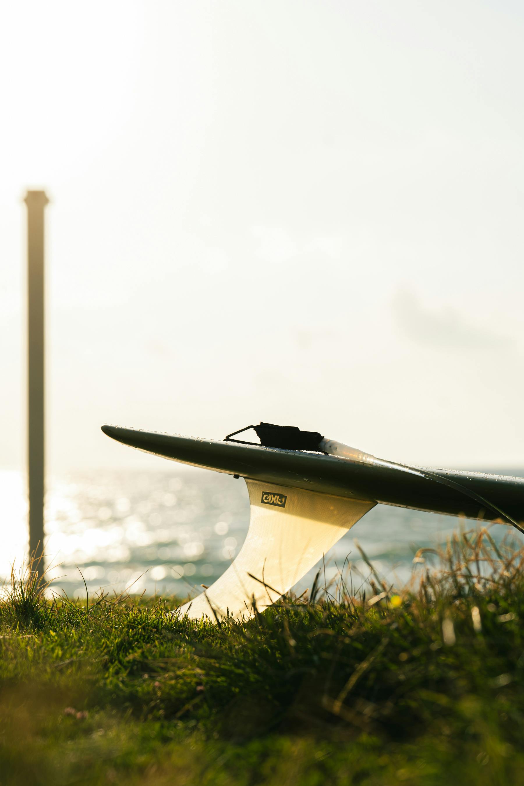 Board's Photos, Download The BEST Free Board's Stock Photos & HD Images