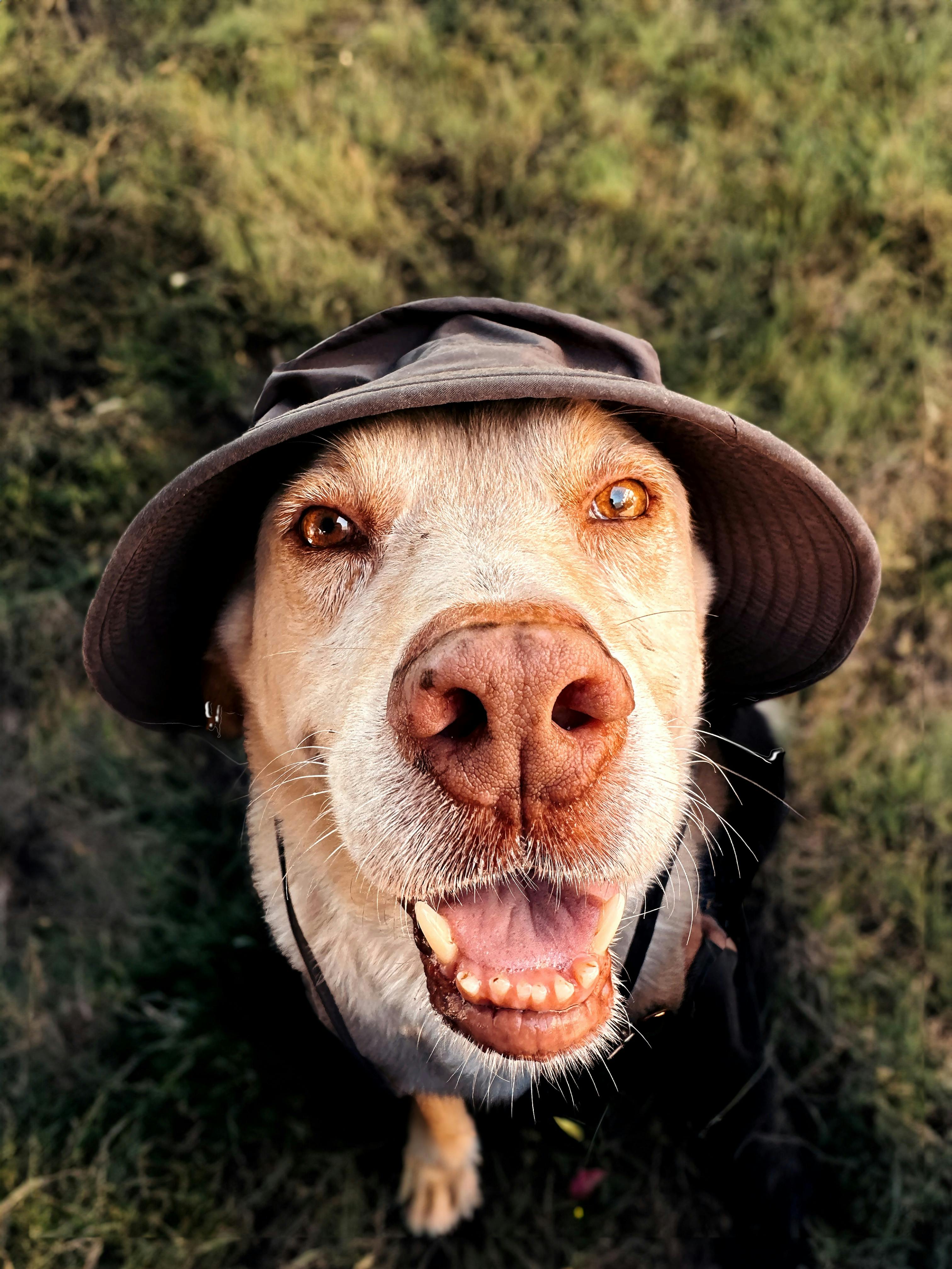 Cute Beez Photos, Download The BEST Free Cute Beez Stock Photos & HD Images